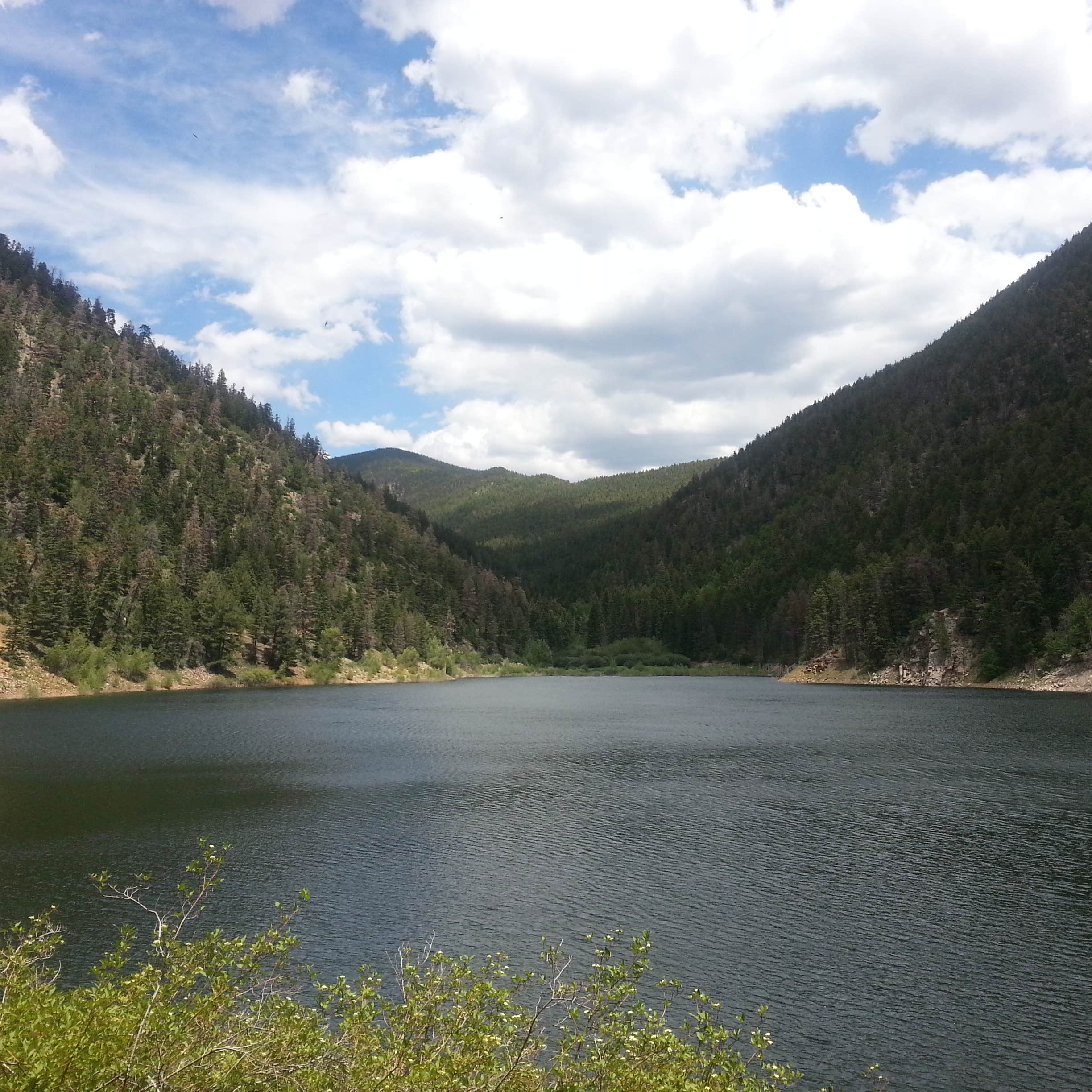 Mccrystal Campground Camping | The Dyrt