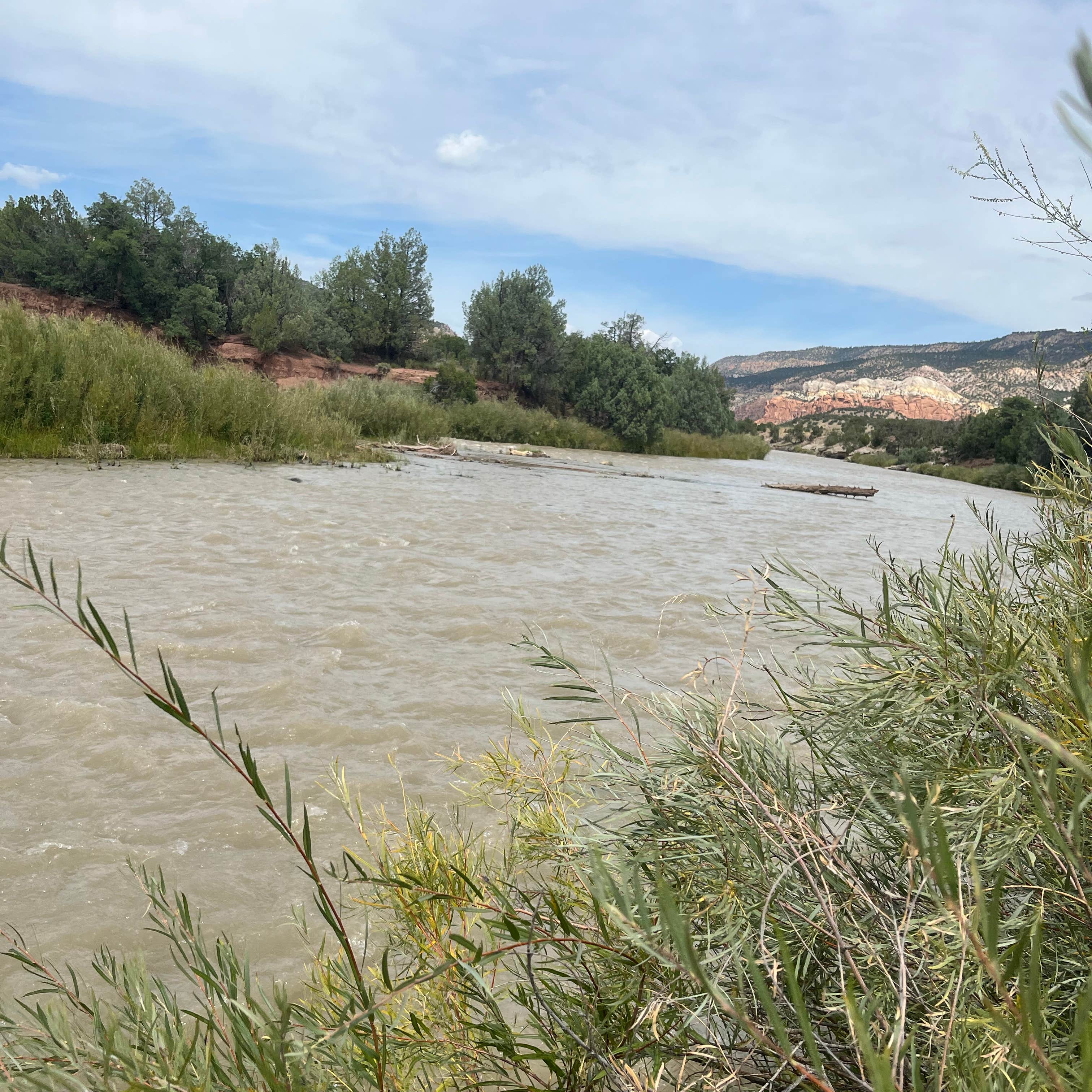 Rio Chama Campground - Temporarily Closed | Abiquiu, NM