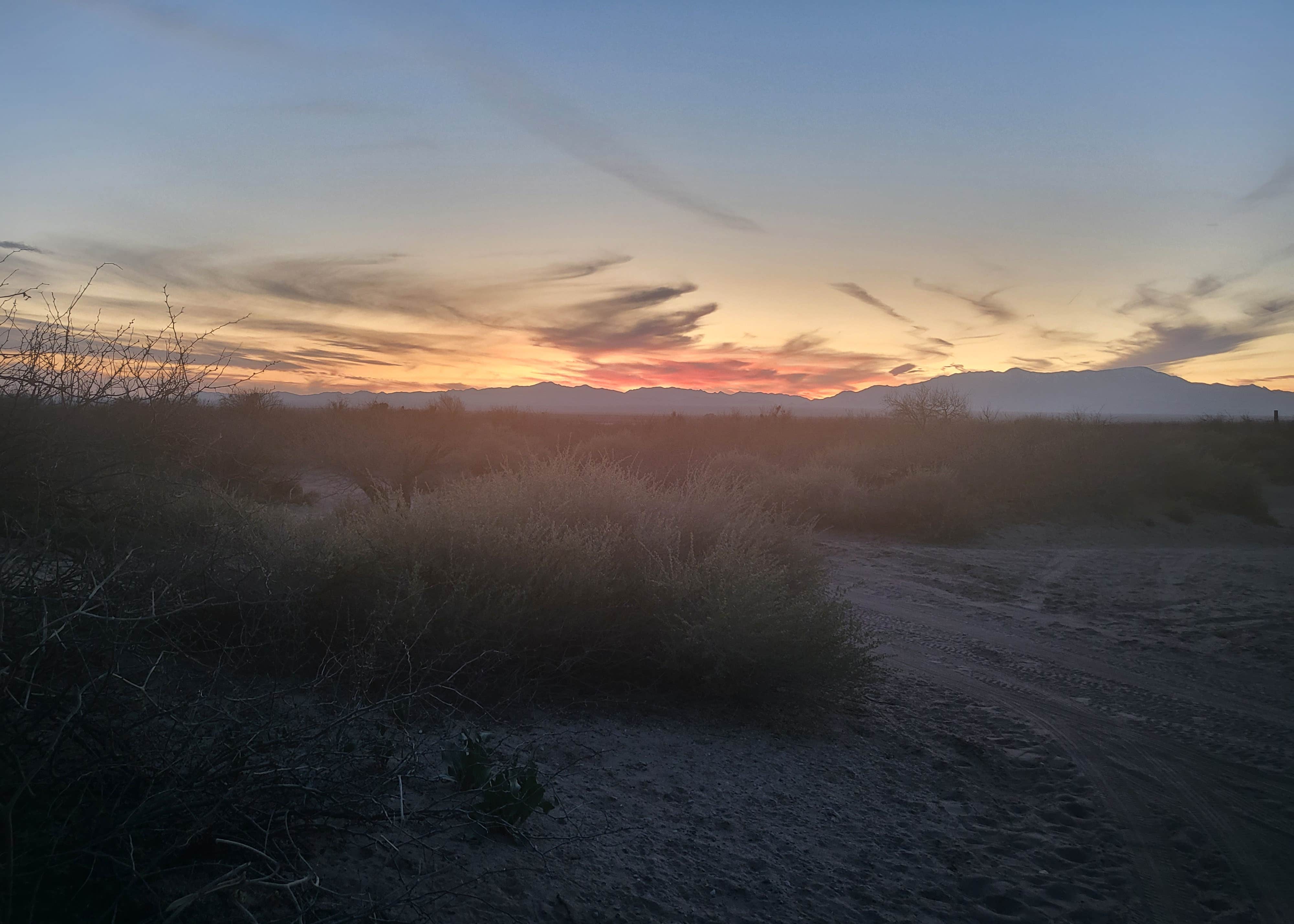 Hot Well Dunes Recreation Area Camping | The Dyrt