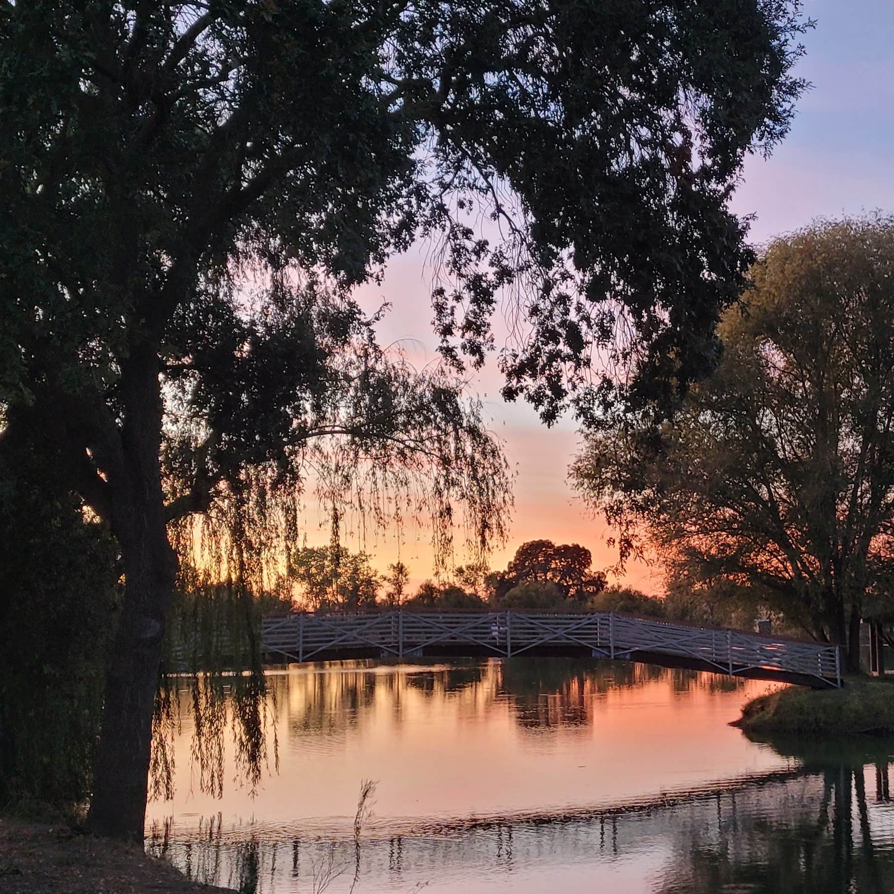 Laguna Del Sol - CLOTHING OPTIONAL Camping | Sloughhouse, California