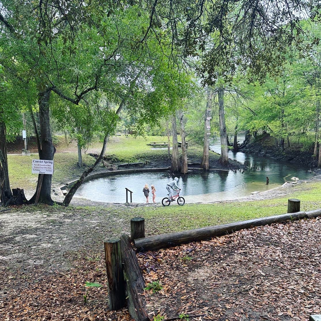 Suwannee River Rendezvous Resort Camping | Mayo, Florida