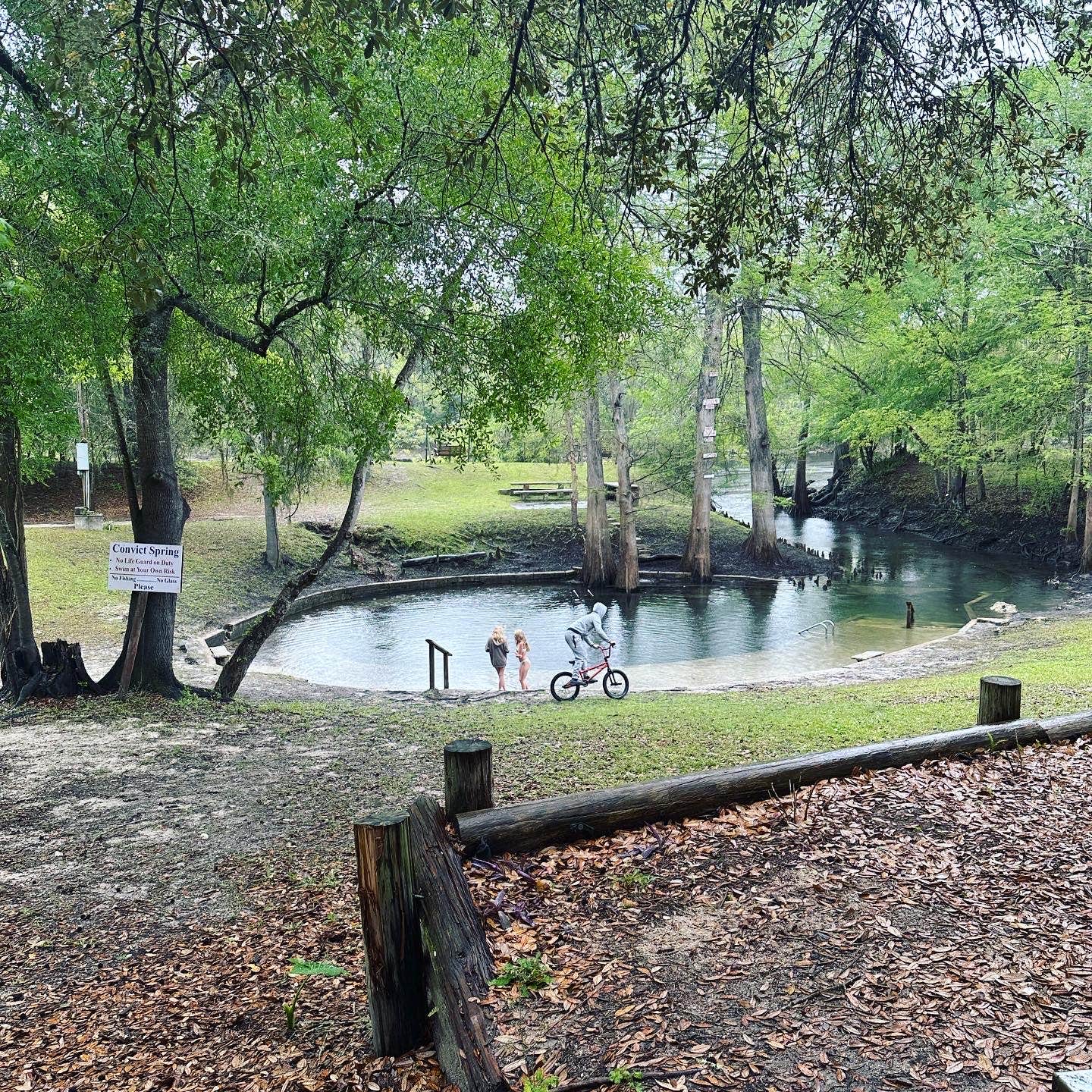 Suwannee River Rendezvous Resort Camping | Mayo, Florida