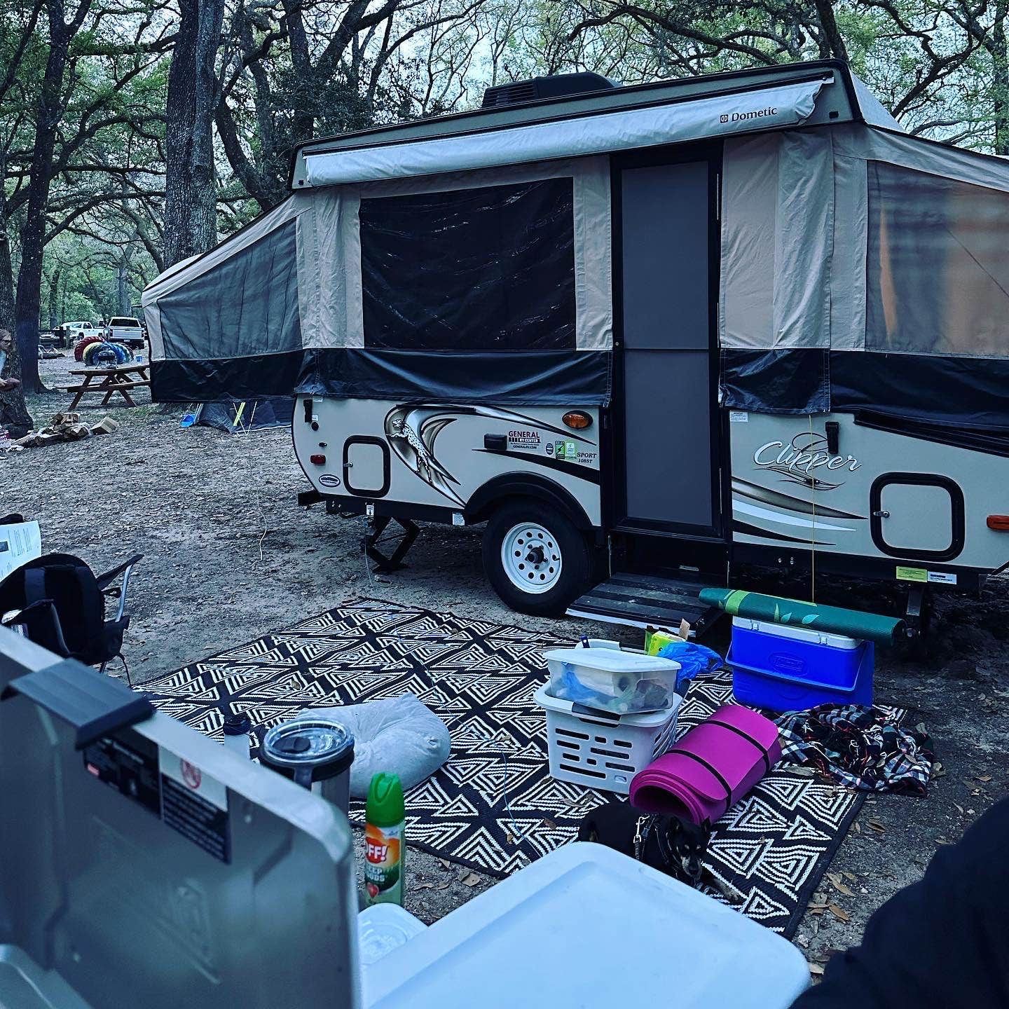 Suwannee River Rendezvous Resort Camping | Mayo, Florida