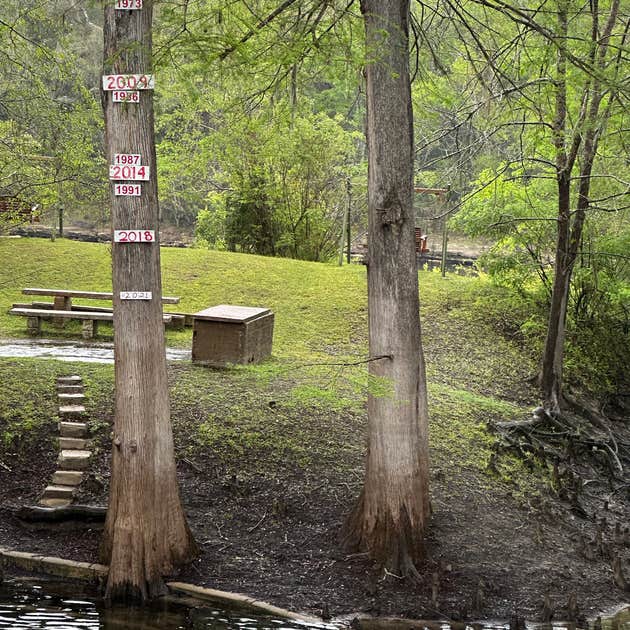 Suwannee River Rendezvous Resort Camping | Mayo, Florida