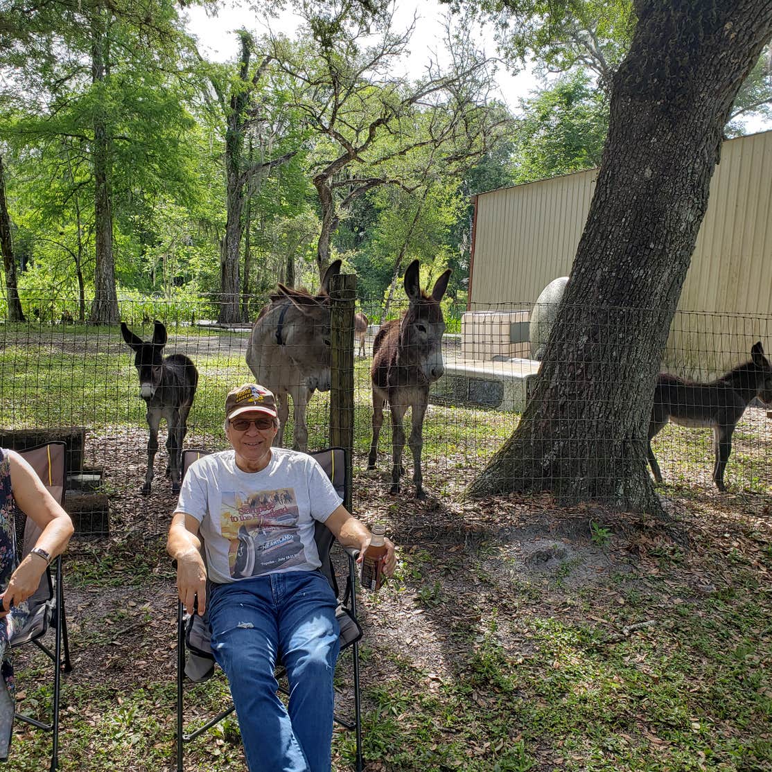 Sumter Oaks RV Park | Nobleton, Florida