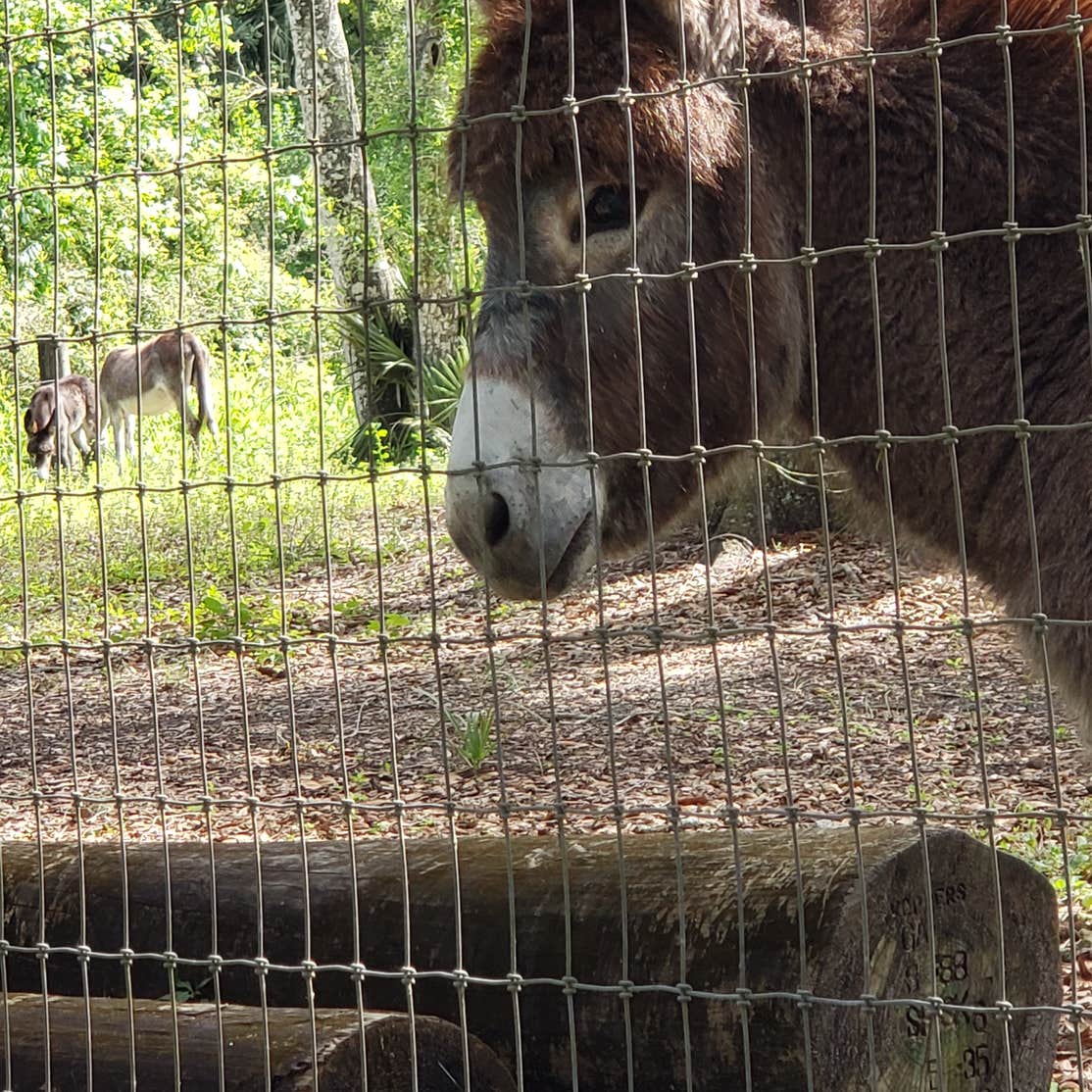 Sumter Oaks RV Park | Nobleton, Florida