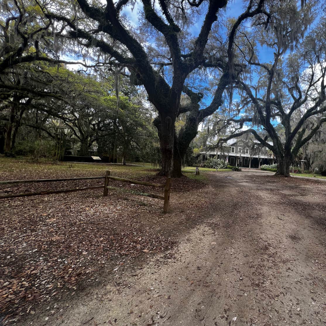 Santee Coastal Reserve Camping | McClellanville, SC