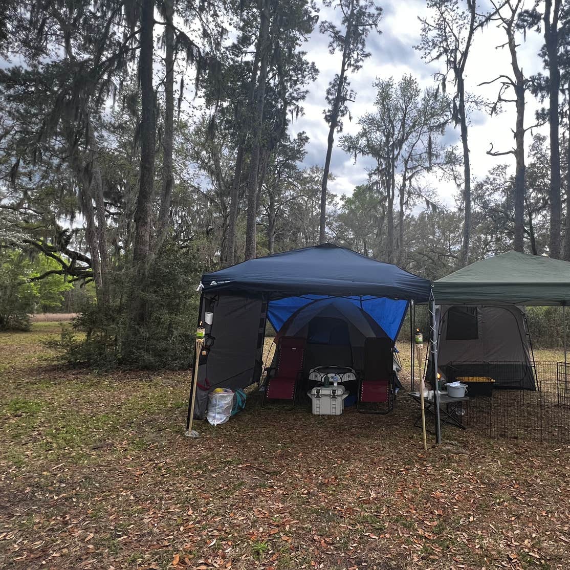 Santee Coastal Reserve Camping | McClellanville, SC