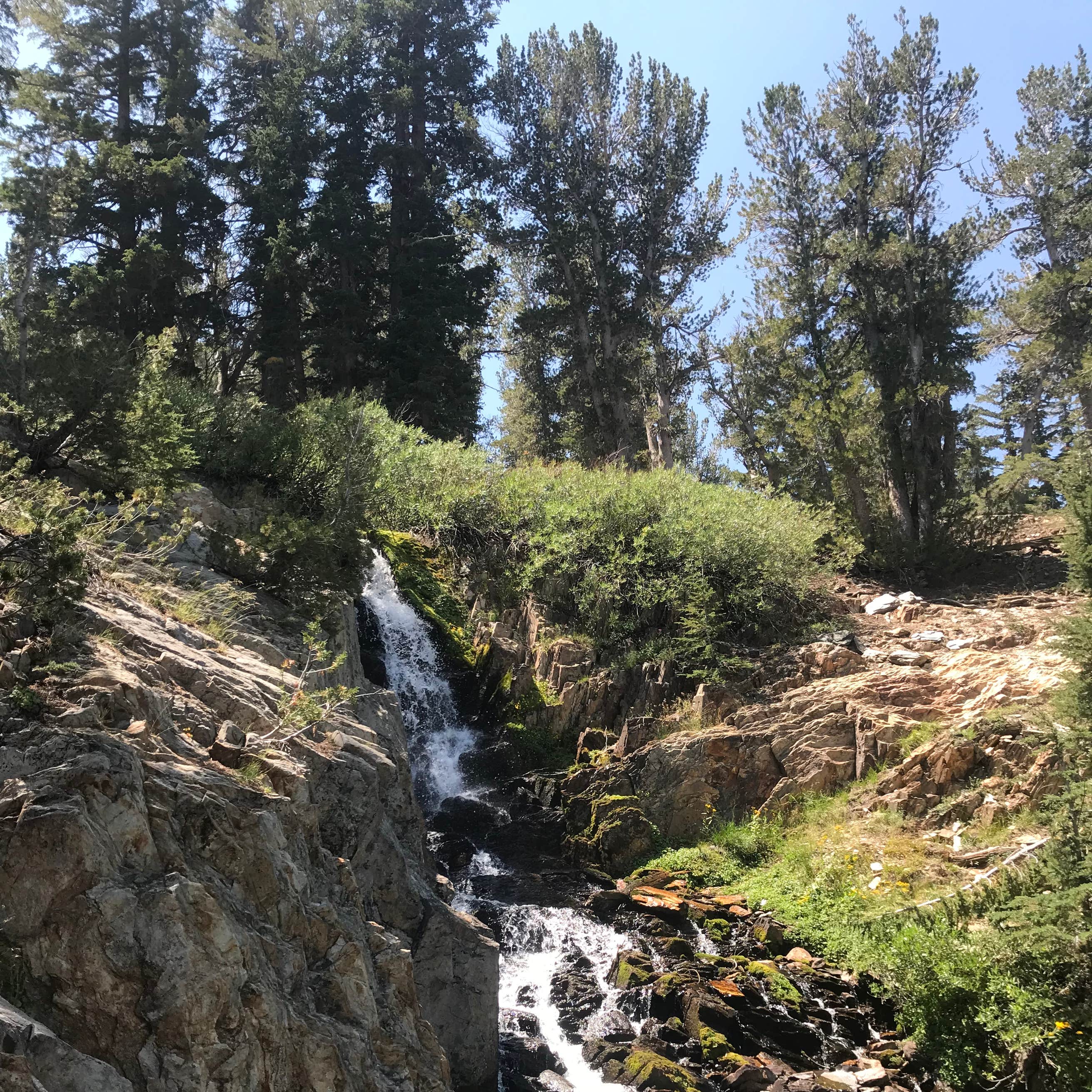 Coldwater Campground Camping | The Dyrt