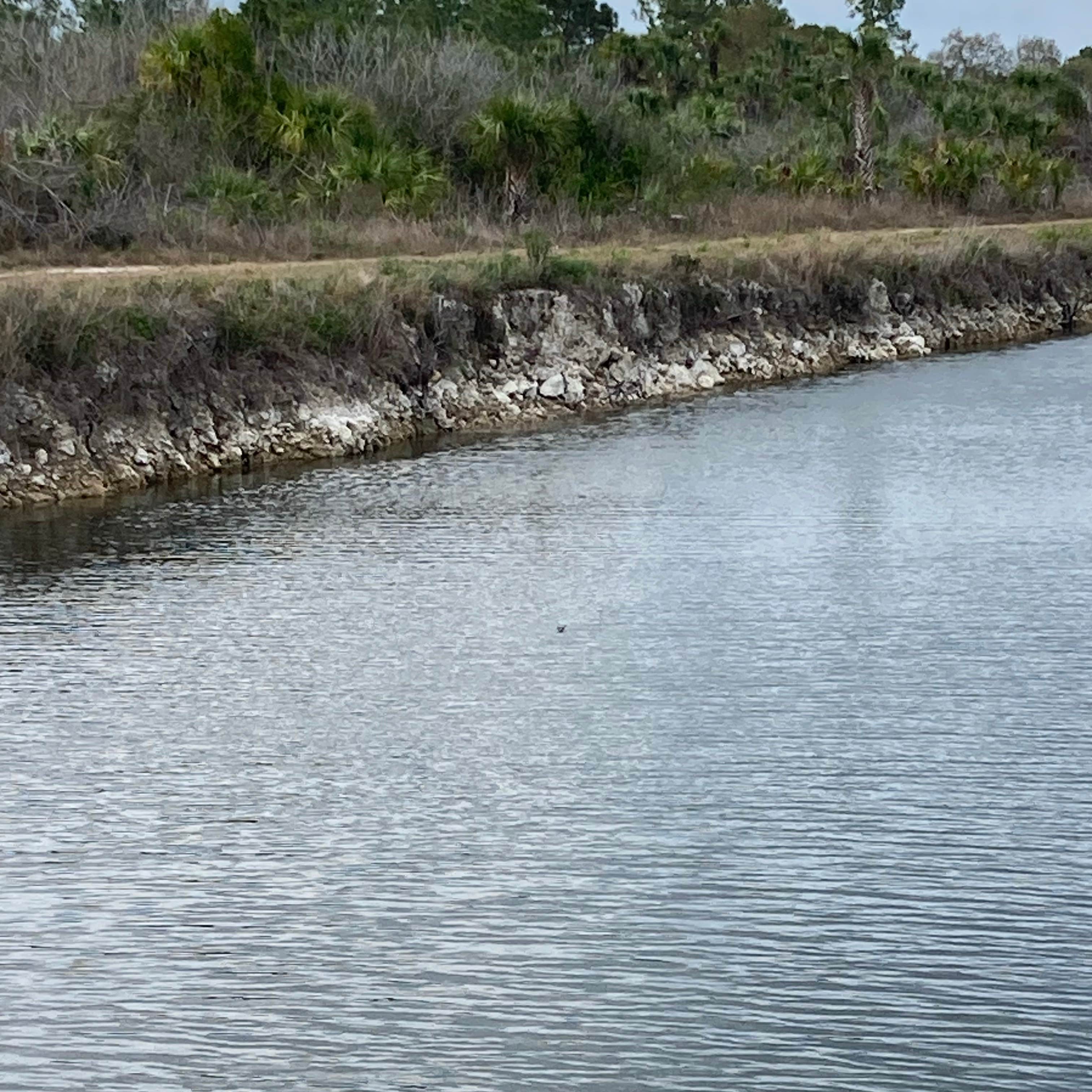 Horseshoe Primitive Campground in Picayune Strand State Forest | Naples, FL