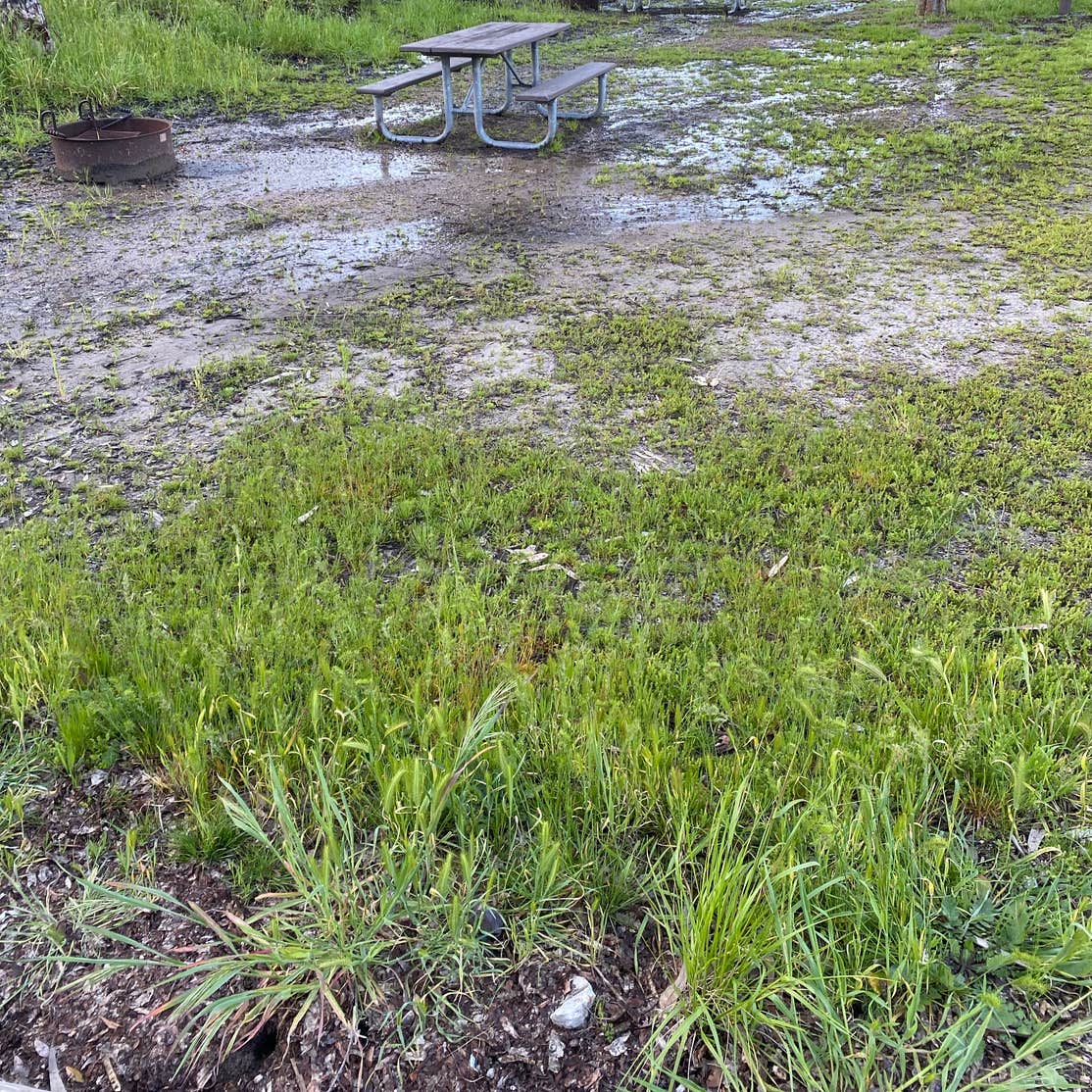 Lopez Lake Recreation Area Camping | Arroyo Grande, CA