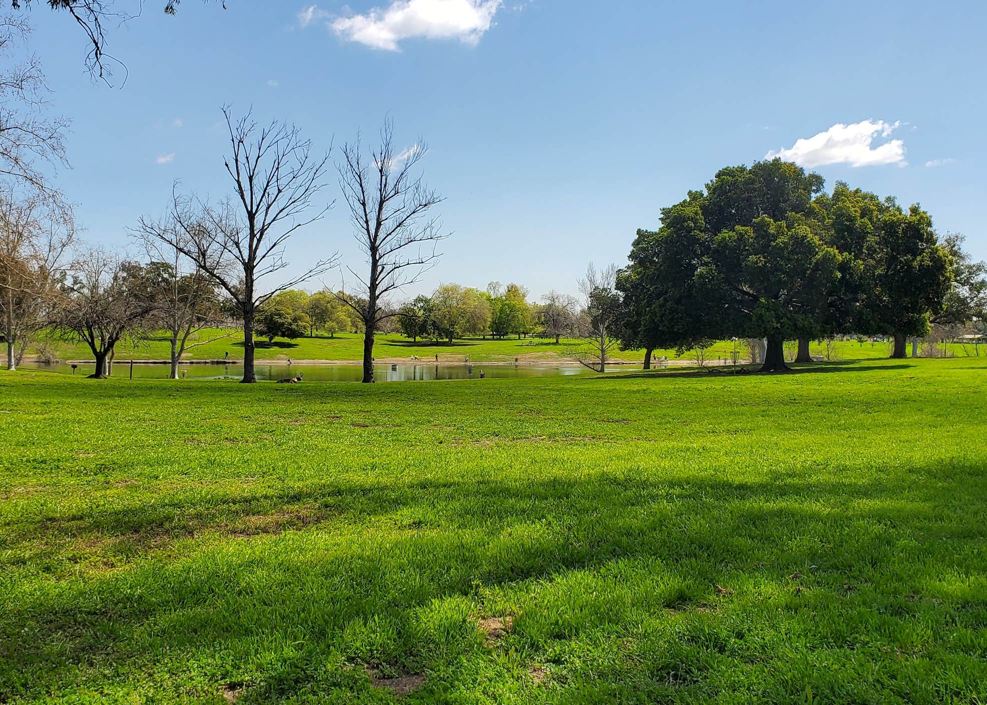 Prado Regional Park Camping | The Dyrt