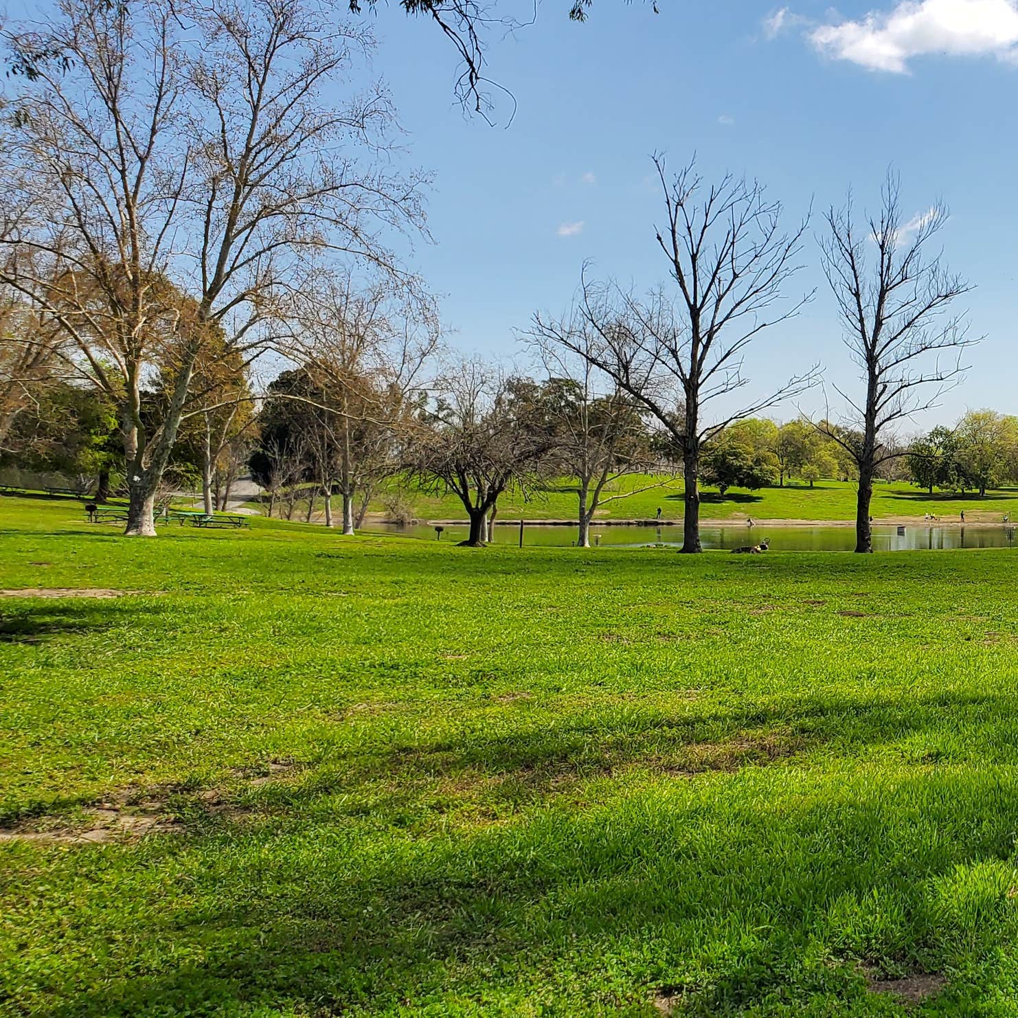 Prado Regional Park Camping | Chino, California