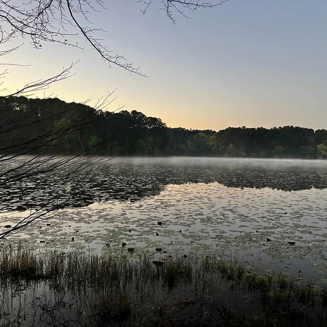 Daingerfield State Park Campground | Daingerfield, Texas