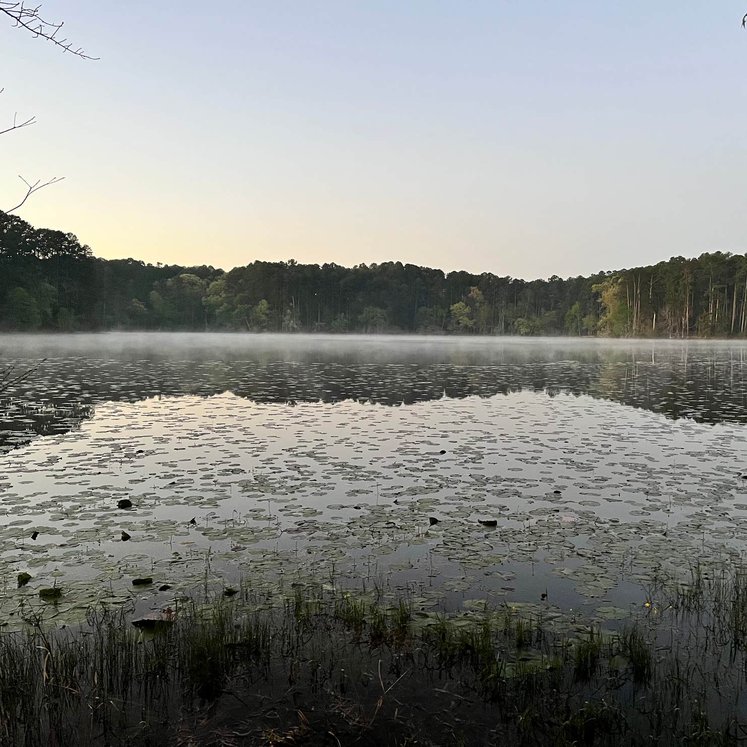 Daingerfield State Park Campground | Daingerfield, TX