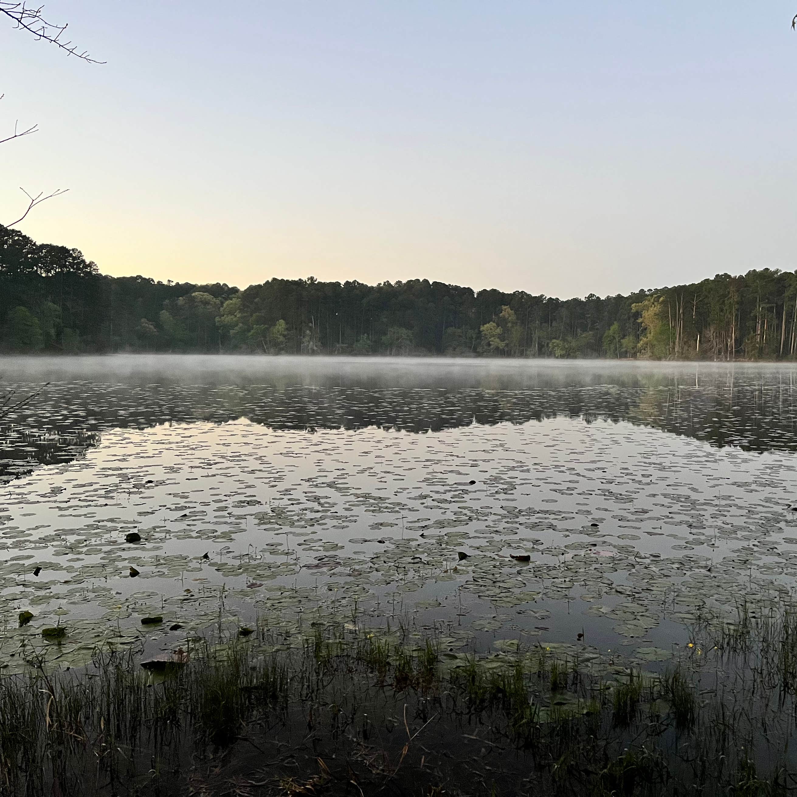 Daingerfield State Park Campground | Daingerfield, Texas