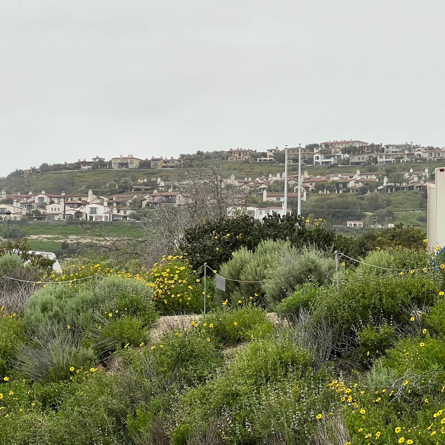 Moro Campground — Crystal Cove State Park | Laguna Beach, California