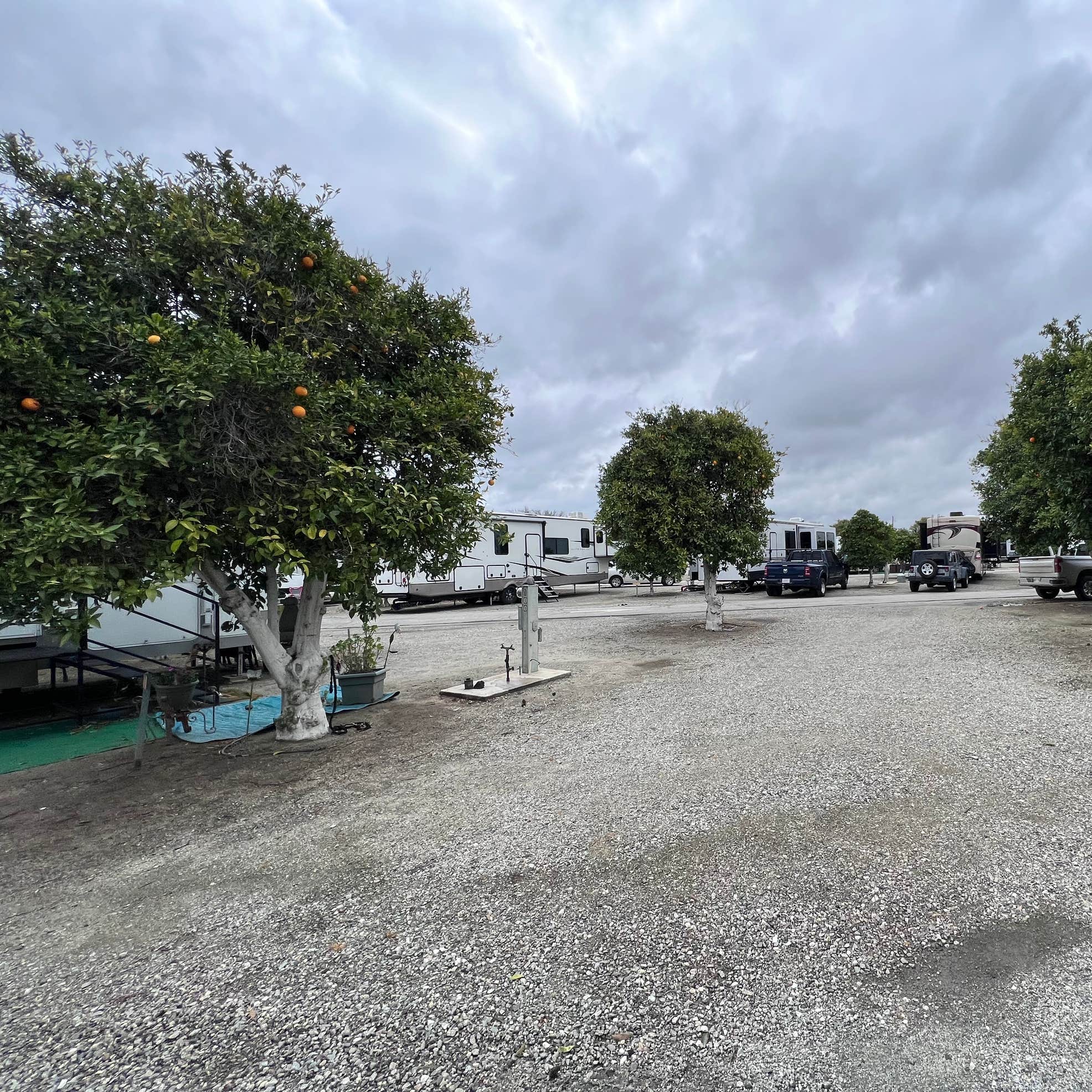Orange Grove RV Park | Edison, California