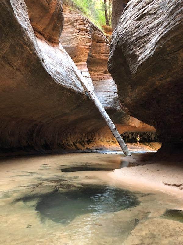 Kolob Terrace Road Dispersed Camping | Virgin, UT