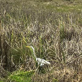 Port A RV Resort | Port Aransas, Texas