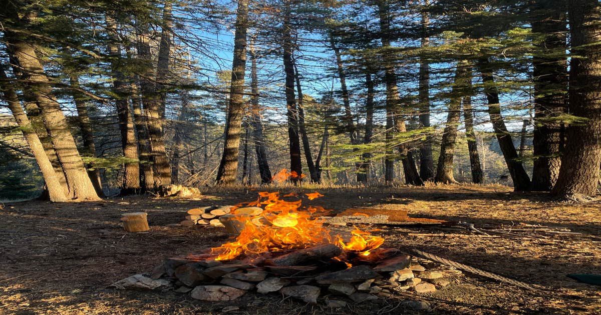 Amigos Loop Dispersed Site Camping | Thatcher, Arizona