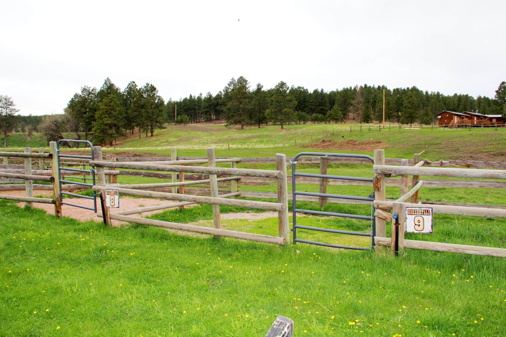 High Country Guest Ranch Camping | Black Hills National Forest, SD