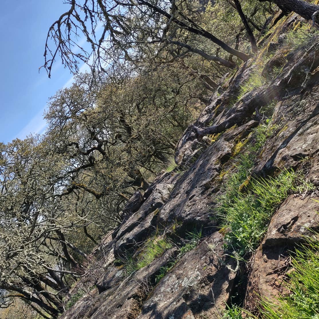 Spring Lake Regional Park Camping | Santa Rosa, California