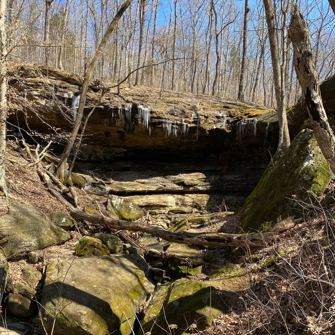 Nolin Lake State Park Camping | Mammoth Cave, KY | The Dyrt