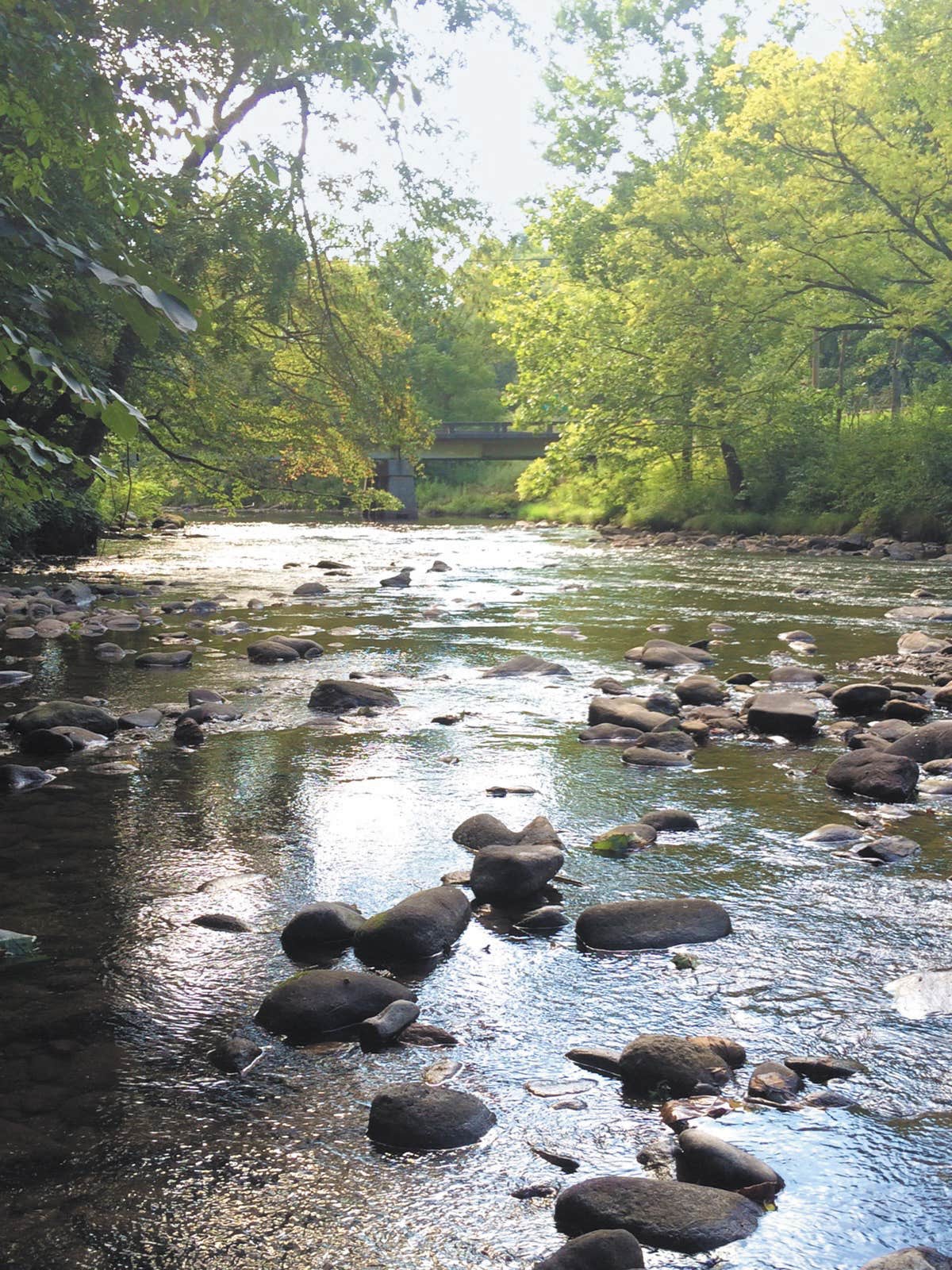 Peaceful Cove Campground | Franklin, NC