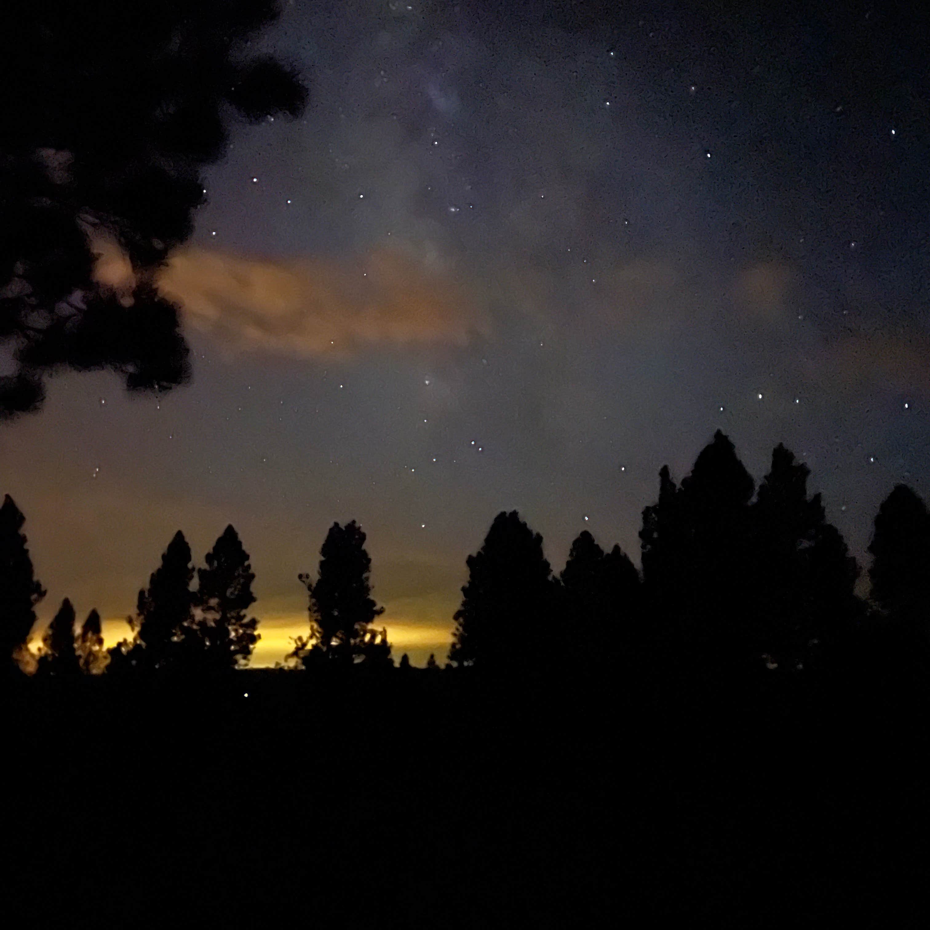 Freidlein Prairie Dispersed Camping | Flagstaff, AZ
