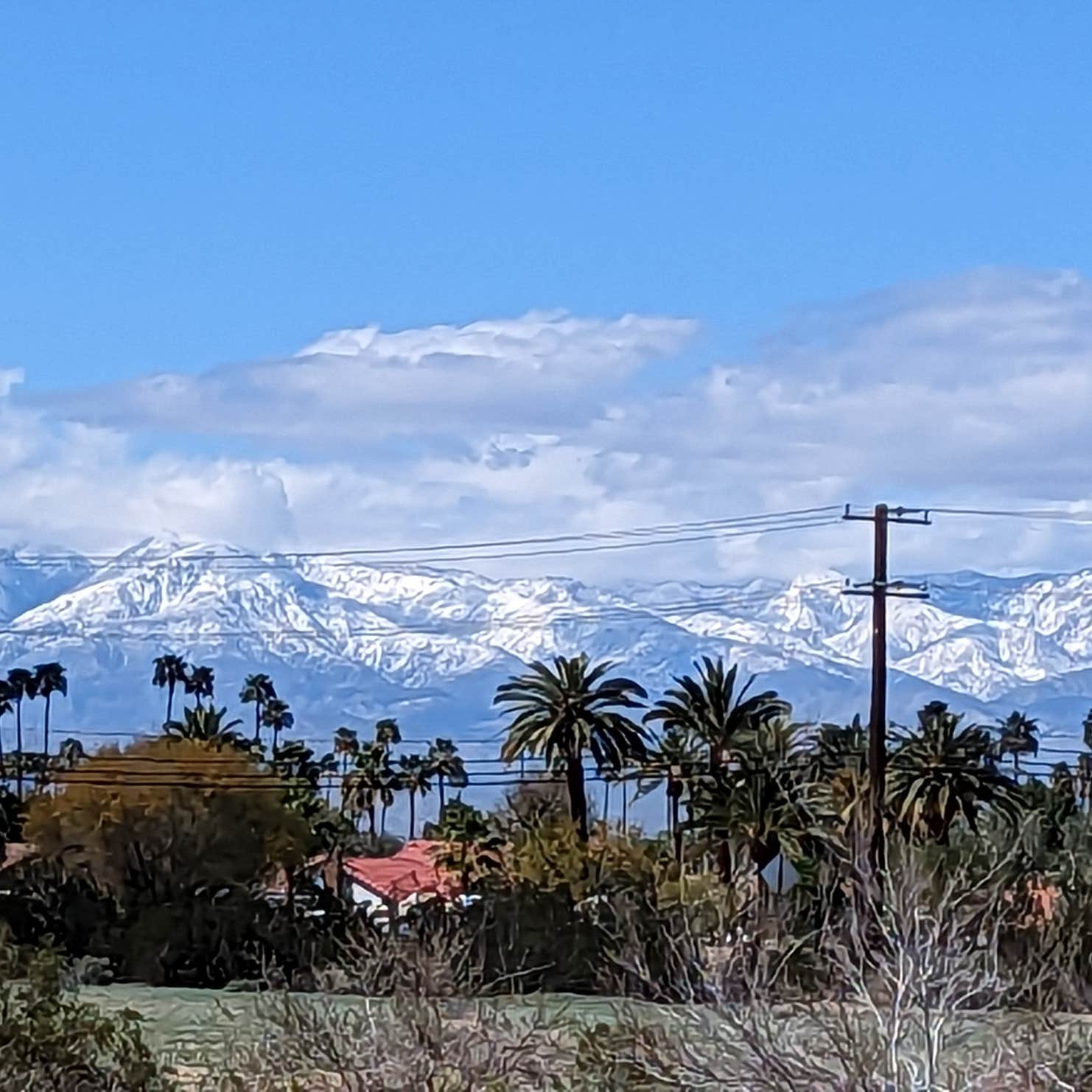Encore Palm Springs Oasis Camping | Cathedral City, CA