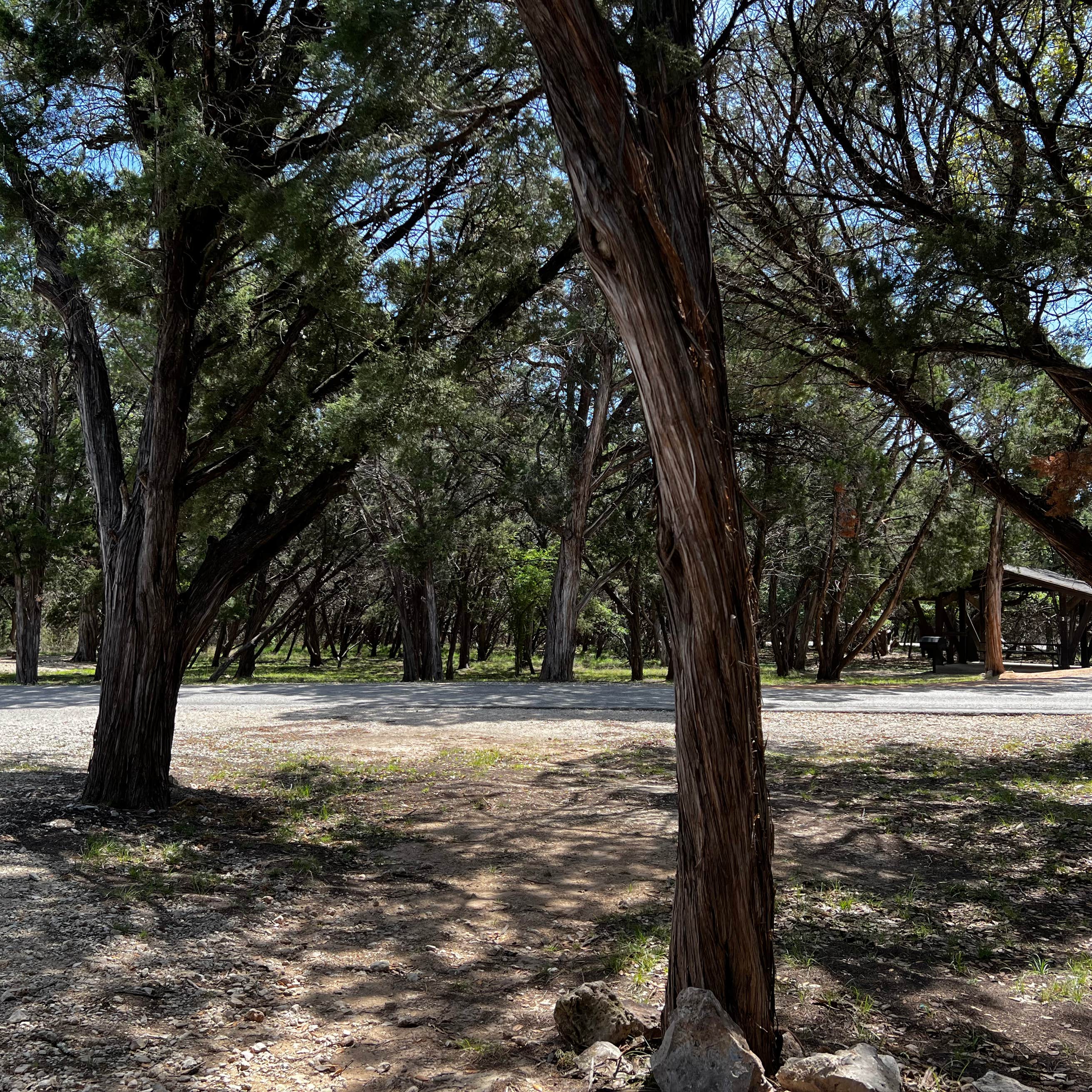 Cedar Breaks Park Camping | Georgetown, Texas