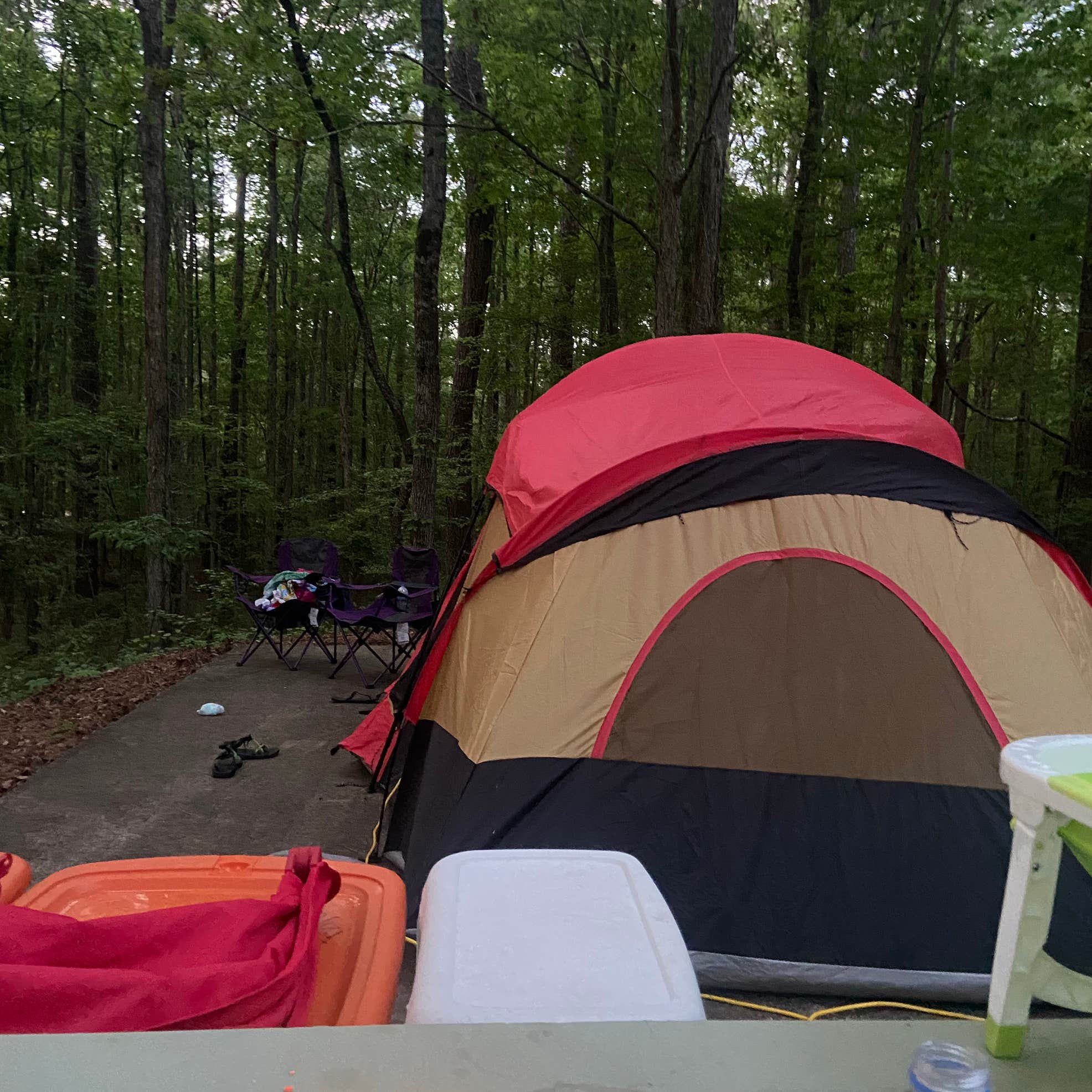 Lake Lincoln State Park Campground | Wesson, Mississippi