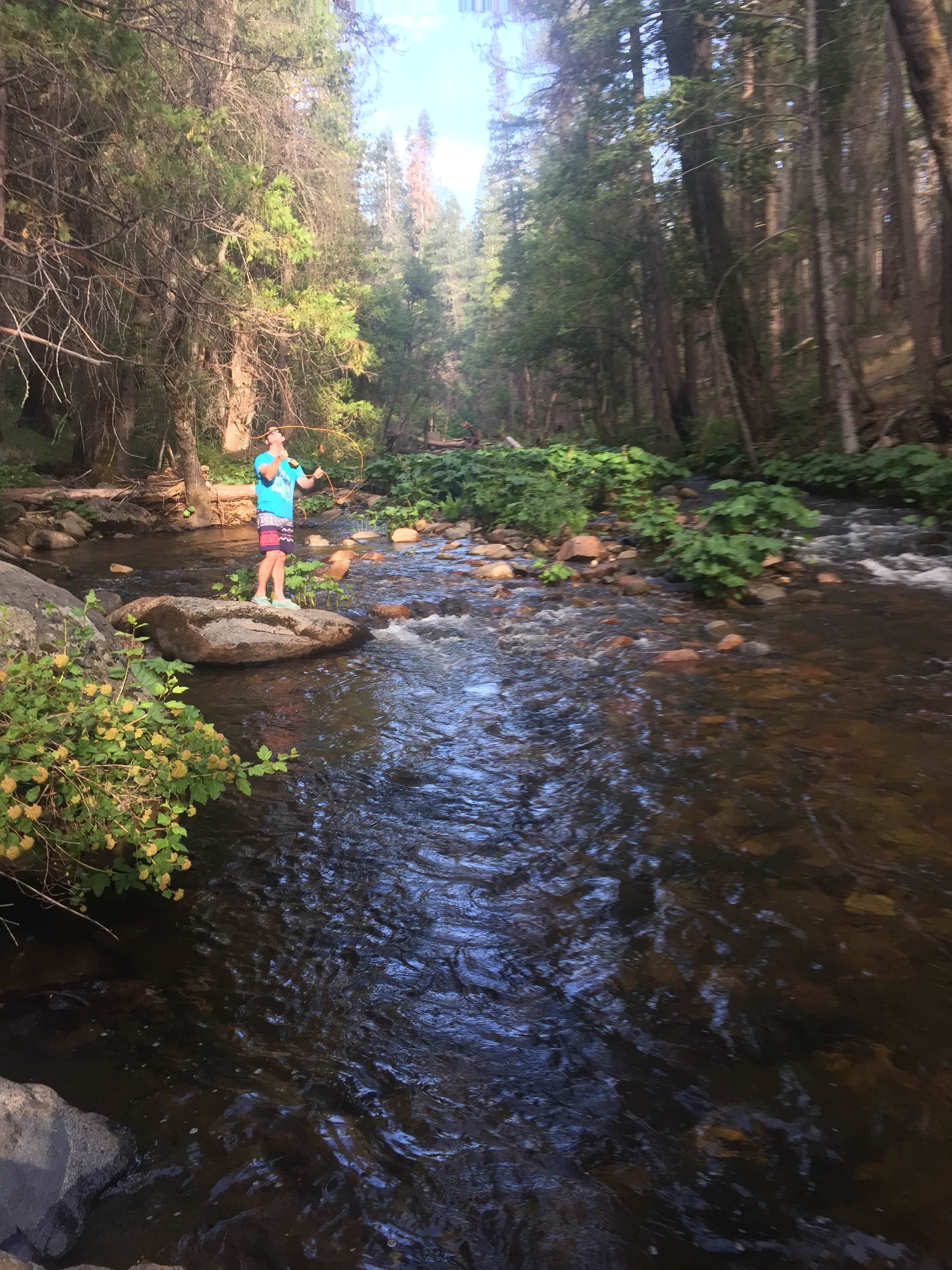 Dimond O Campground | Mather, California