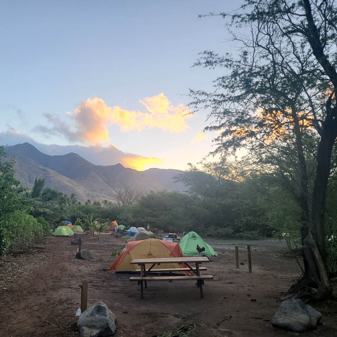 Camp Olowalu | Lahaina, Hawaii