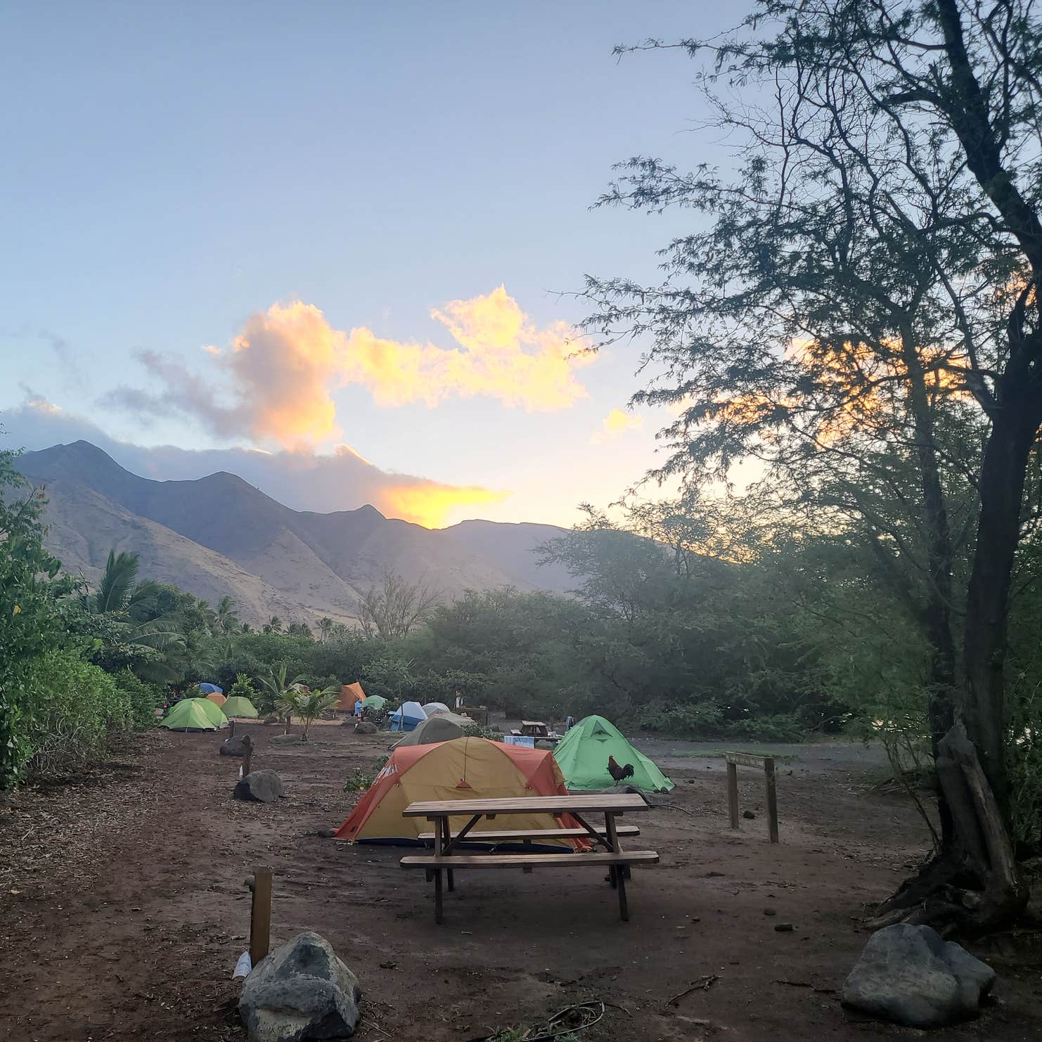 Camp Olowalu | Lahaina, Hawaii