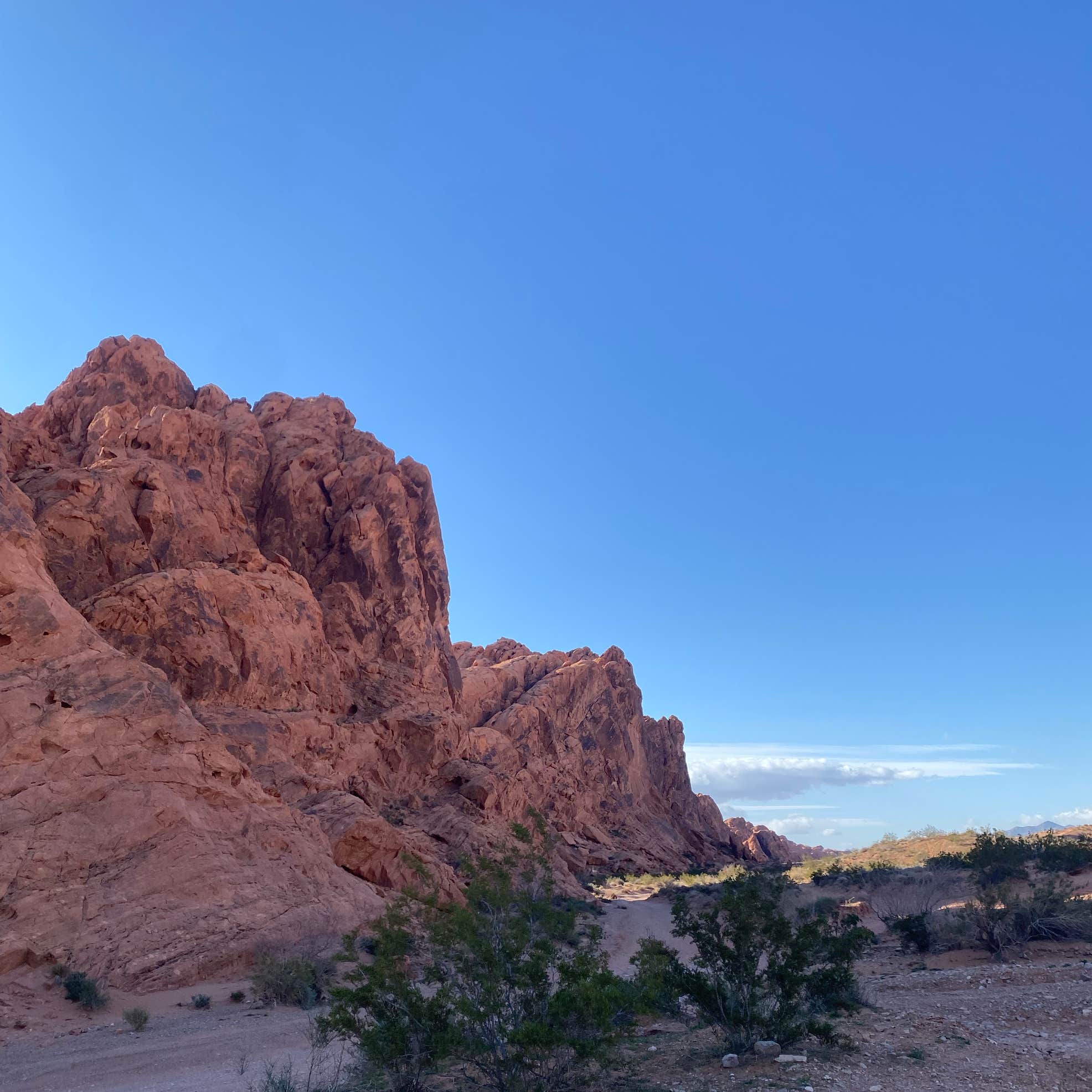 Logandale Trails Camping | The Dyrt