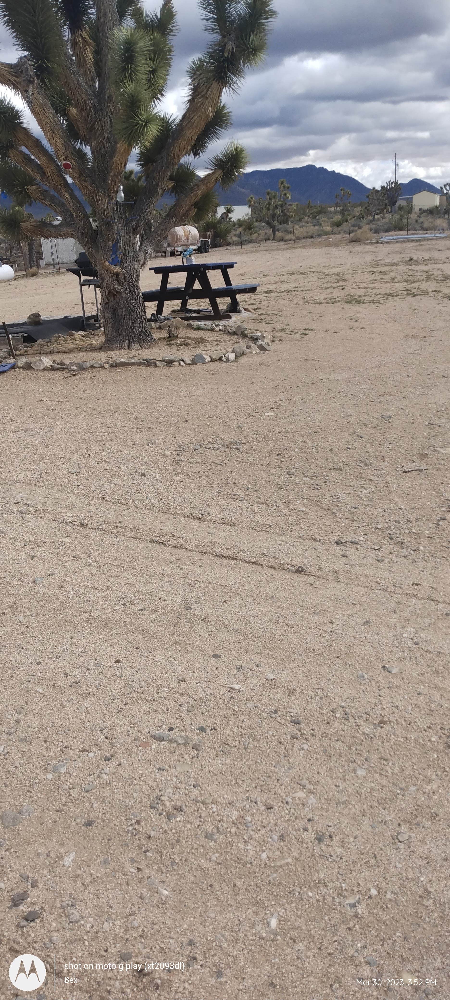 Joshua Re-TREE-t Camping | Meadview, AZ