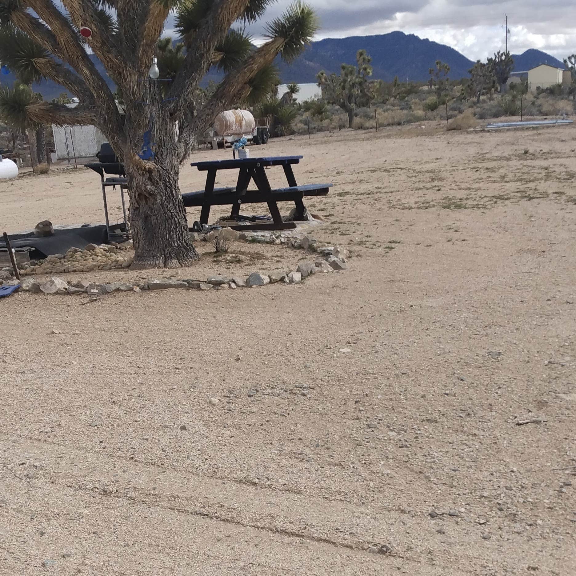 Joshua Re-TREE-t Camping | Meadview, Arizona