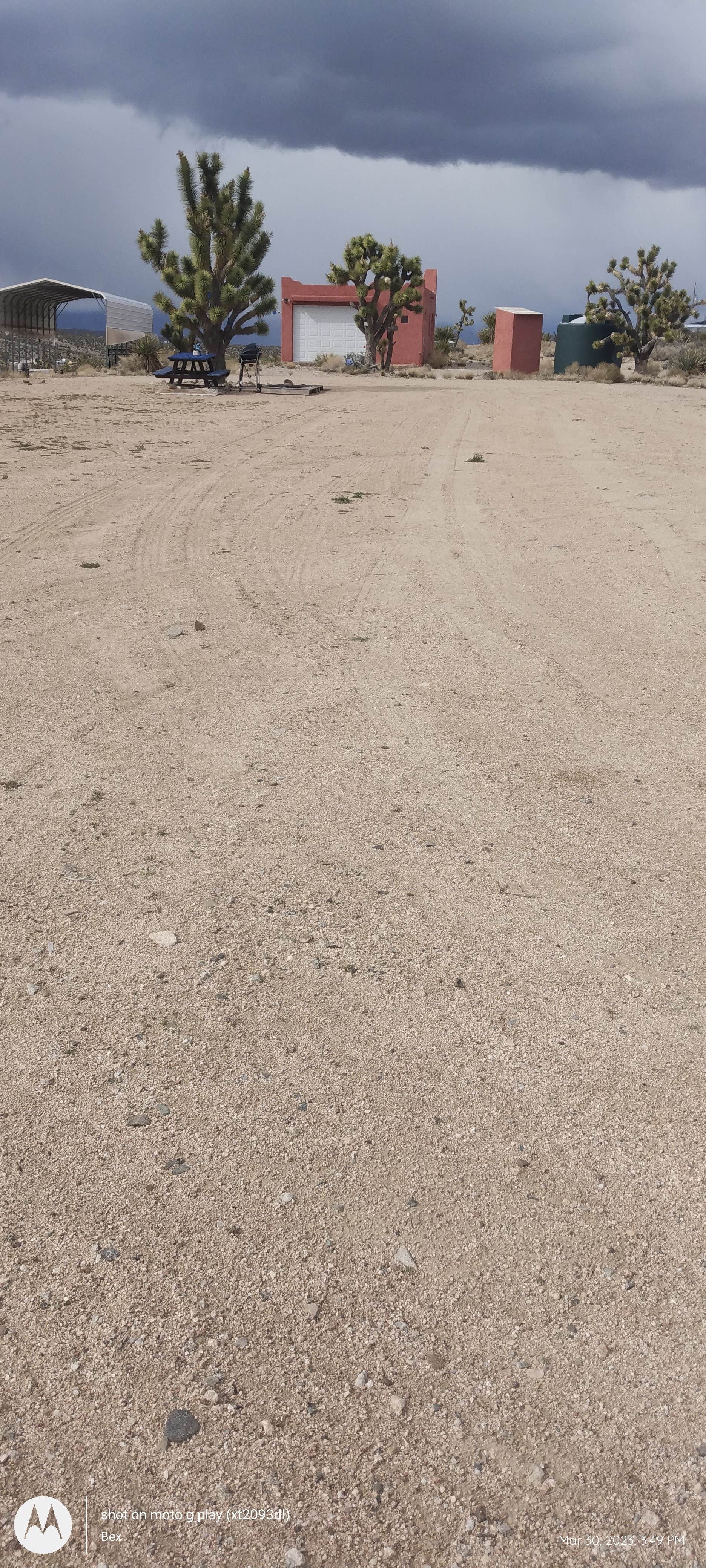 Joshua Re-TREE-t Camping | Meadview, AZ