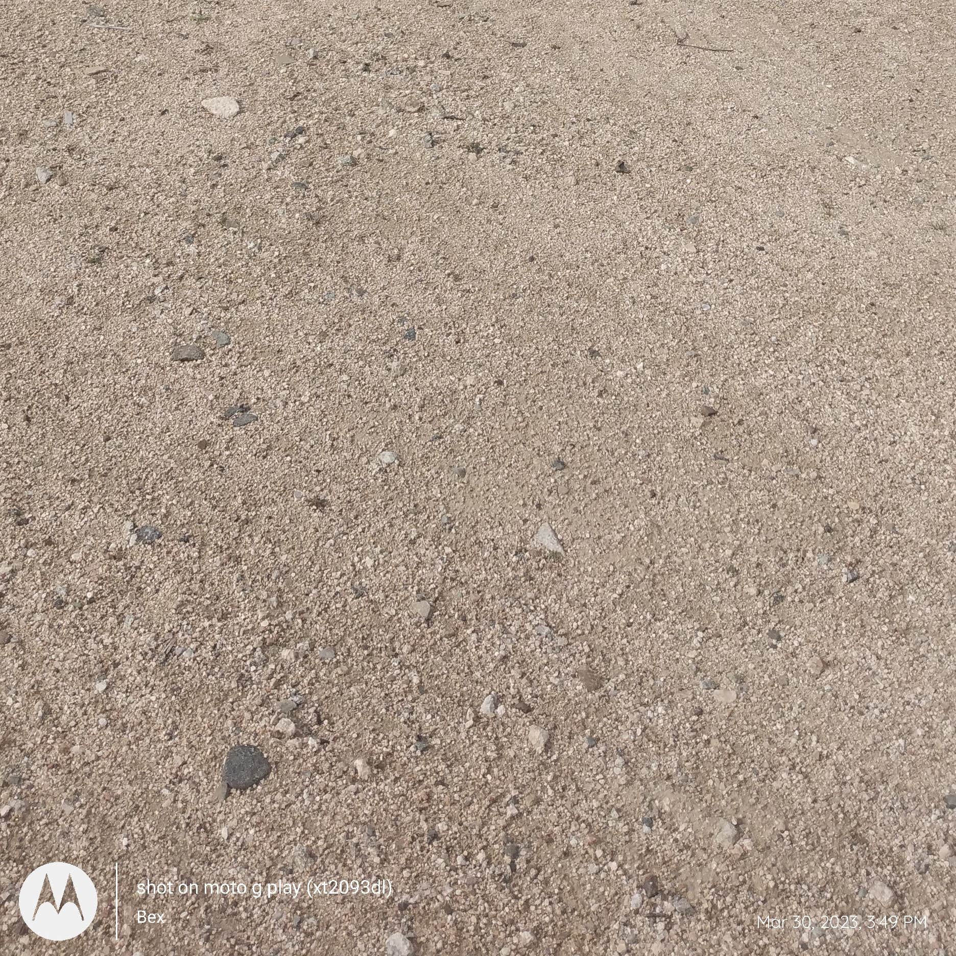 Joshua Re-TREE-t Camping | Meadview, Arizona