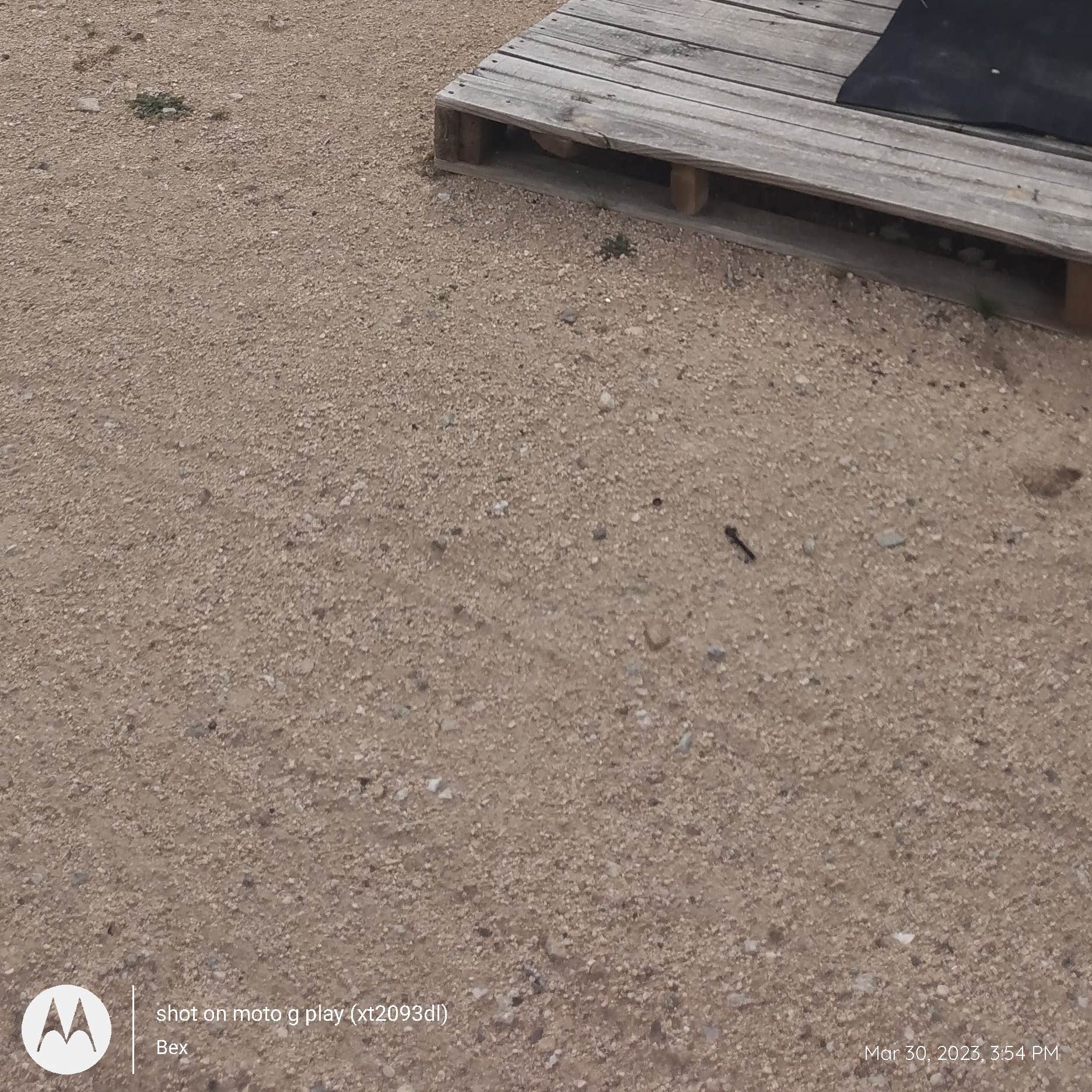 Joshua Re-TREE-t Camping | Meadview, Arizona