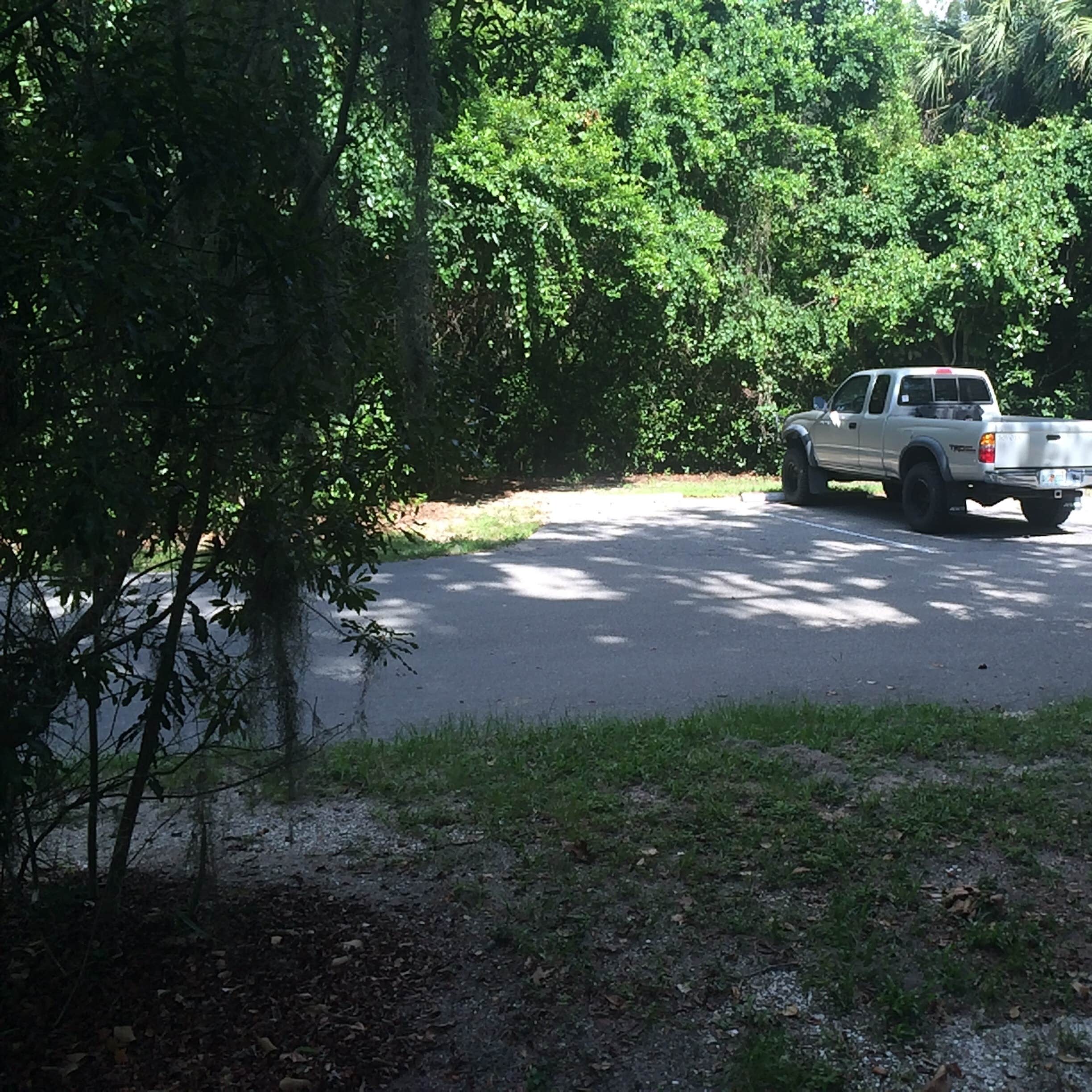 Magnolia Park Campground Camping | The Dyrt