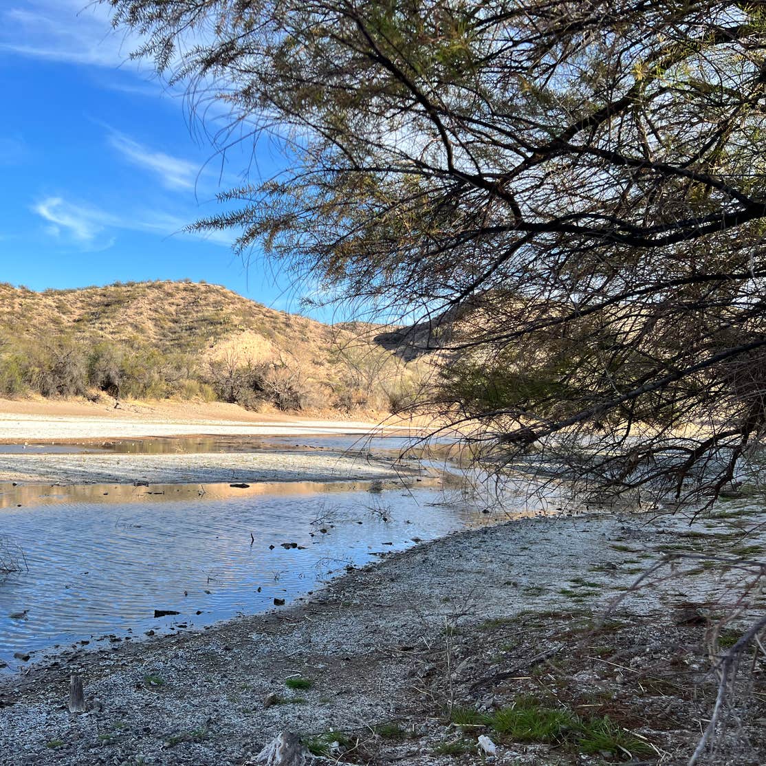 Riverside Campground — Caballo Lake State Park | Arrey, NM