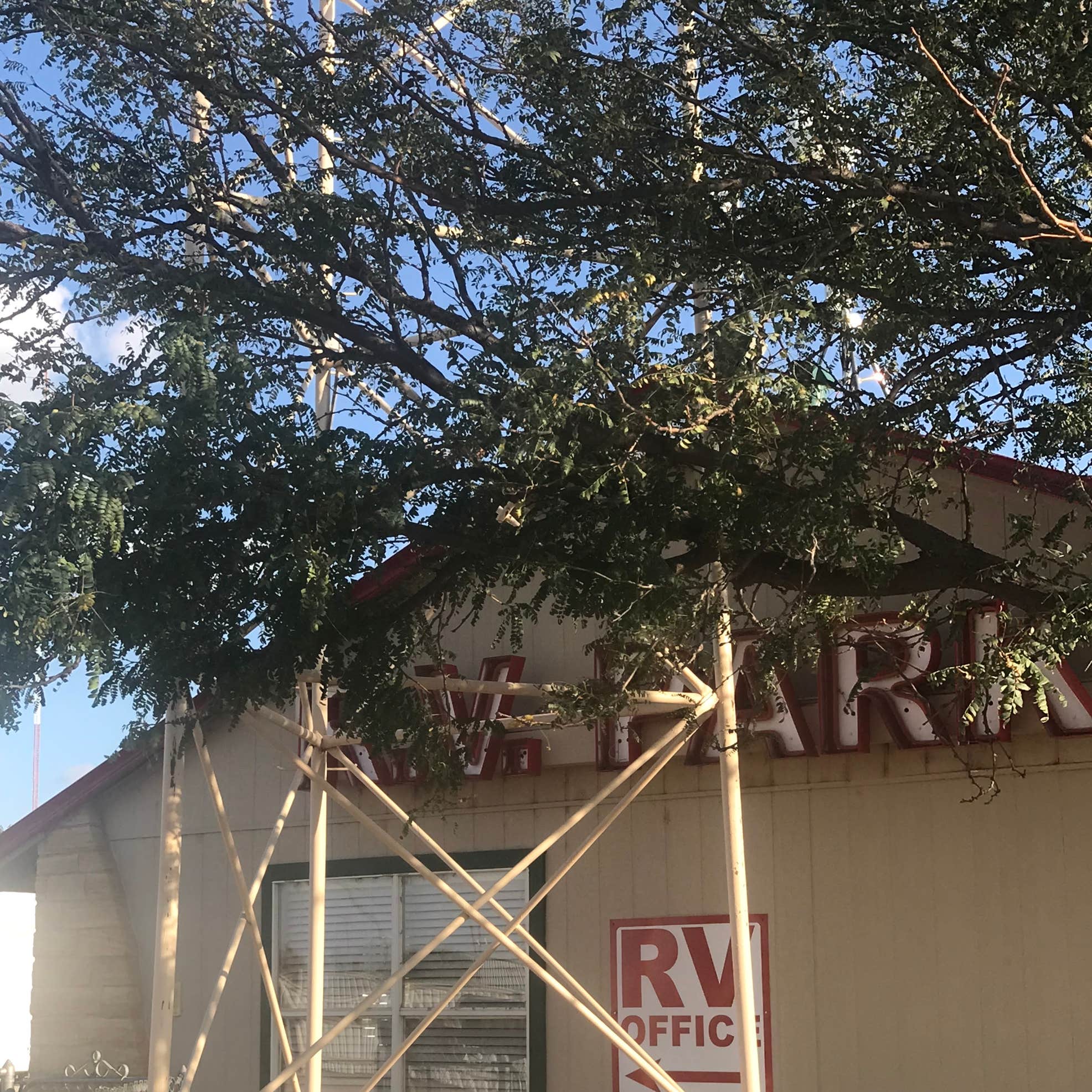 Cadillac Ranch RV Park and Campground Camping | The Dyrt
