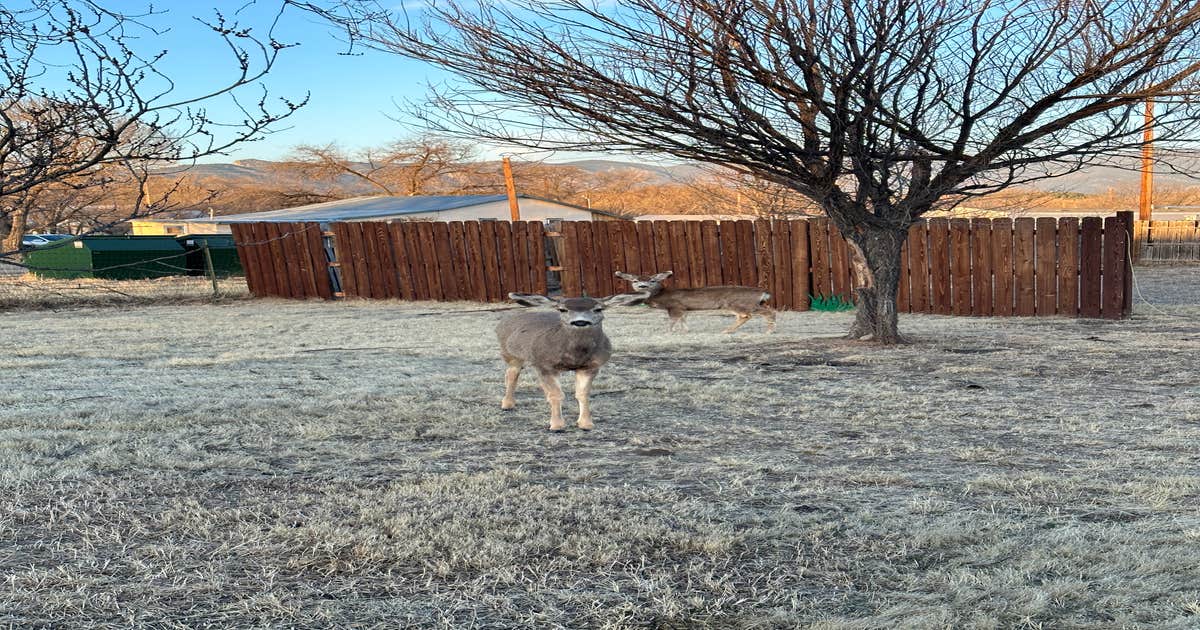 Cimarron Inn and RV Park | Cimarron, New Mexico