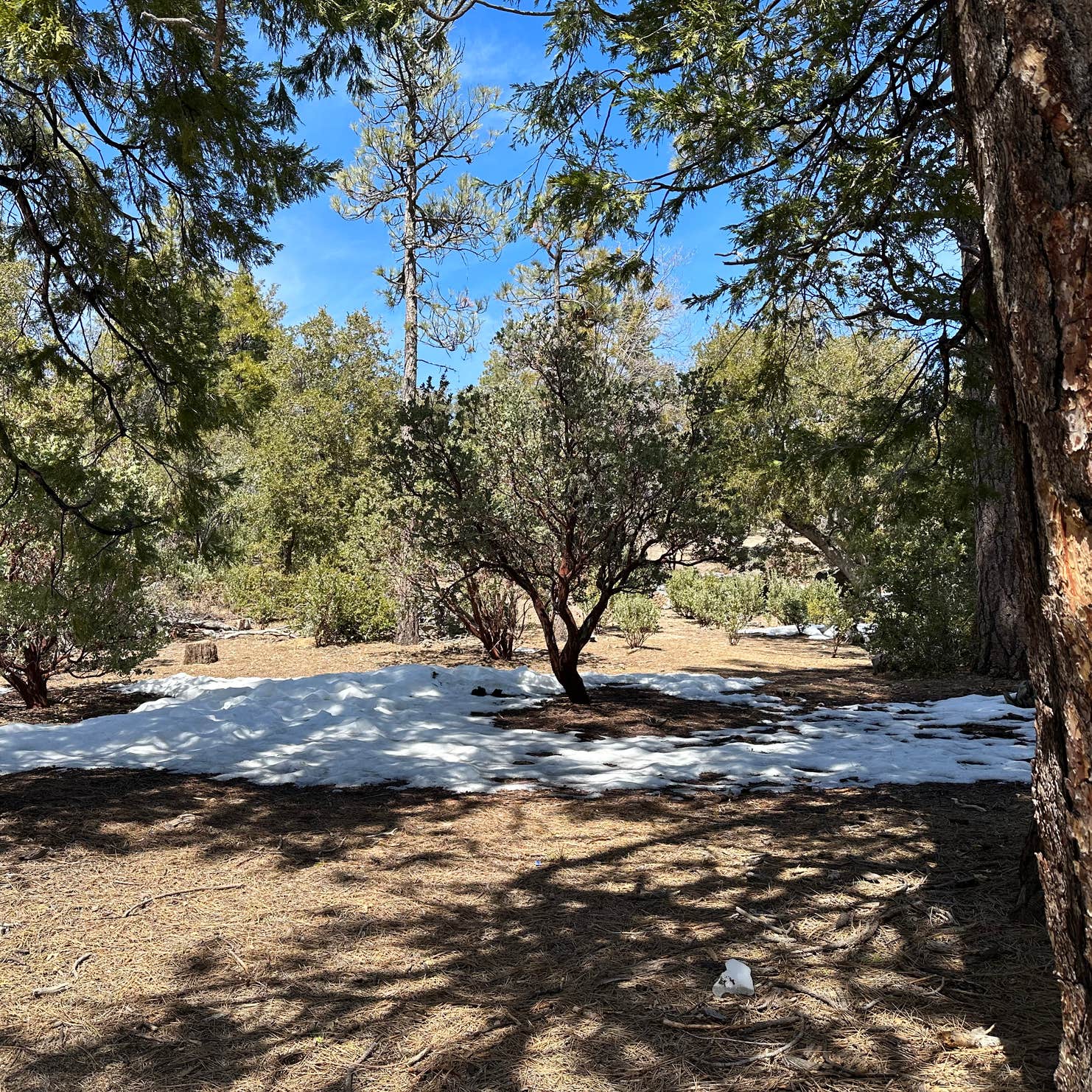 Hurkey Creek Park Camping | Mountain Center, CA