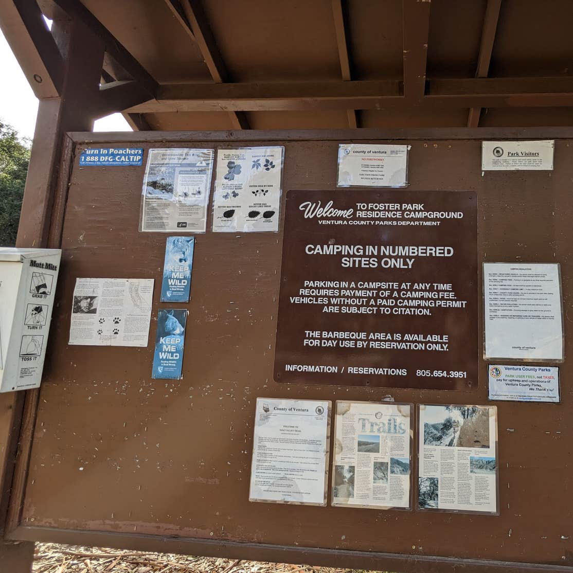 Foster Residence Campground | Oak View, CA