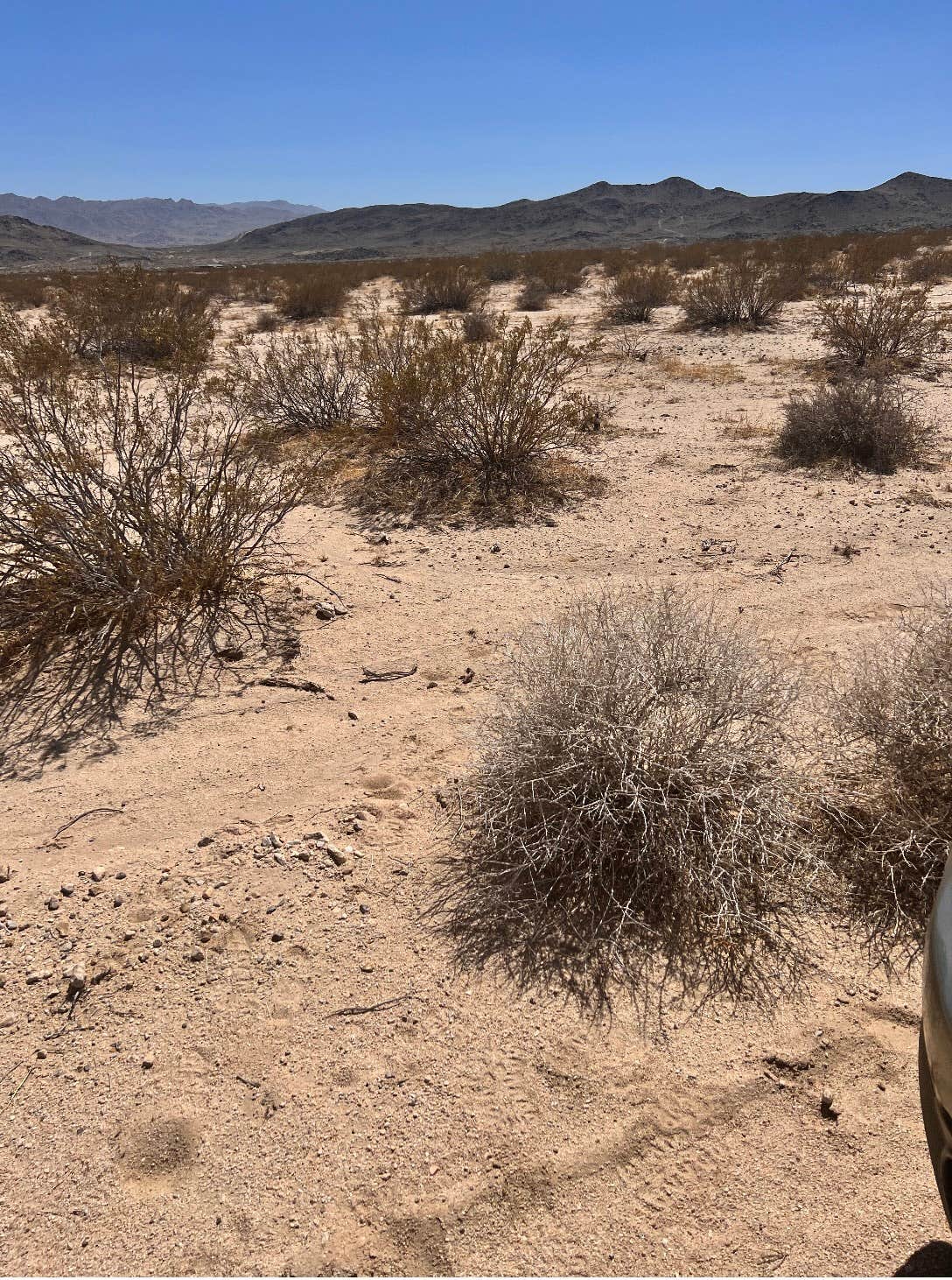 The 7th Oracle Oasis Camping | Yucca Valley, California