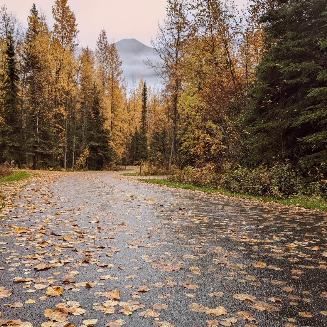 Eklutna Lake Campground — Chugach State Park | Chugiak, Alaska